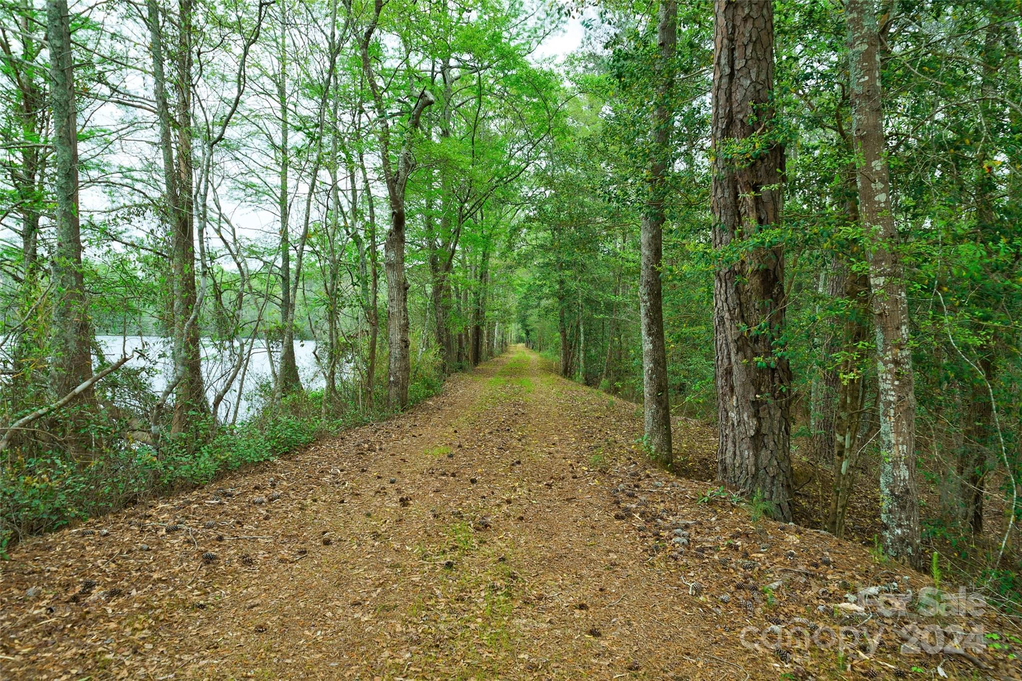 229 Joseph Kershaw Road, Eastover, SC - photo 34 of 49