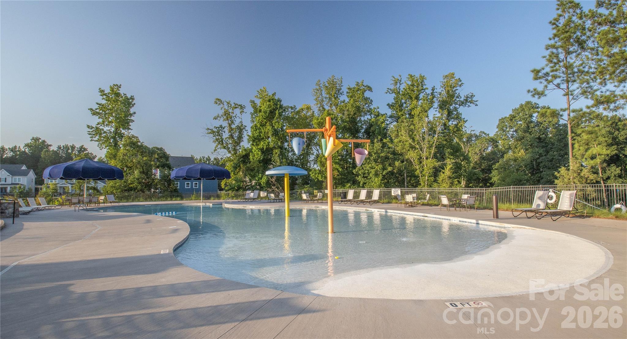1633 Half Pint Loop, Fort Mill, SC - photo 39 of 48