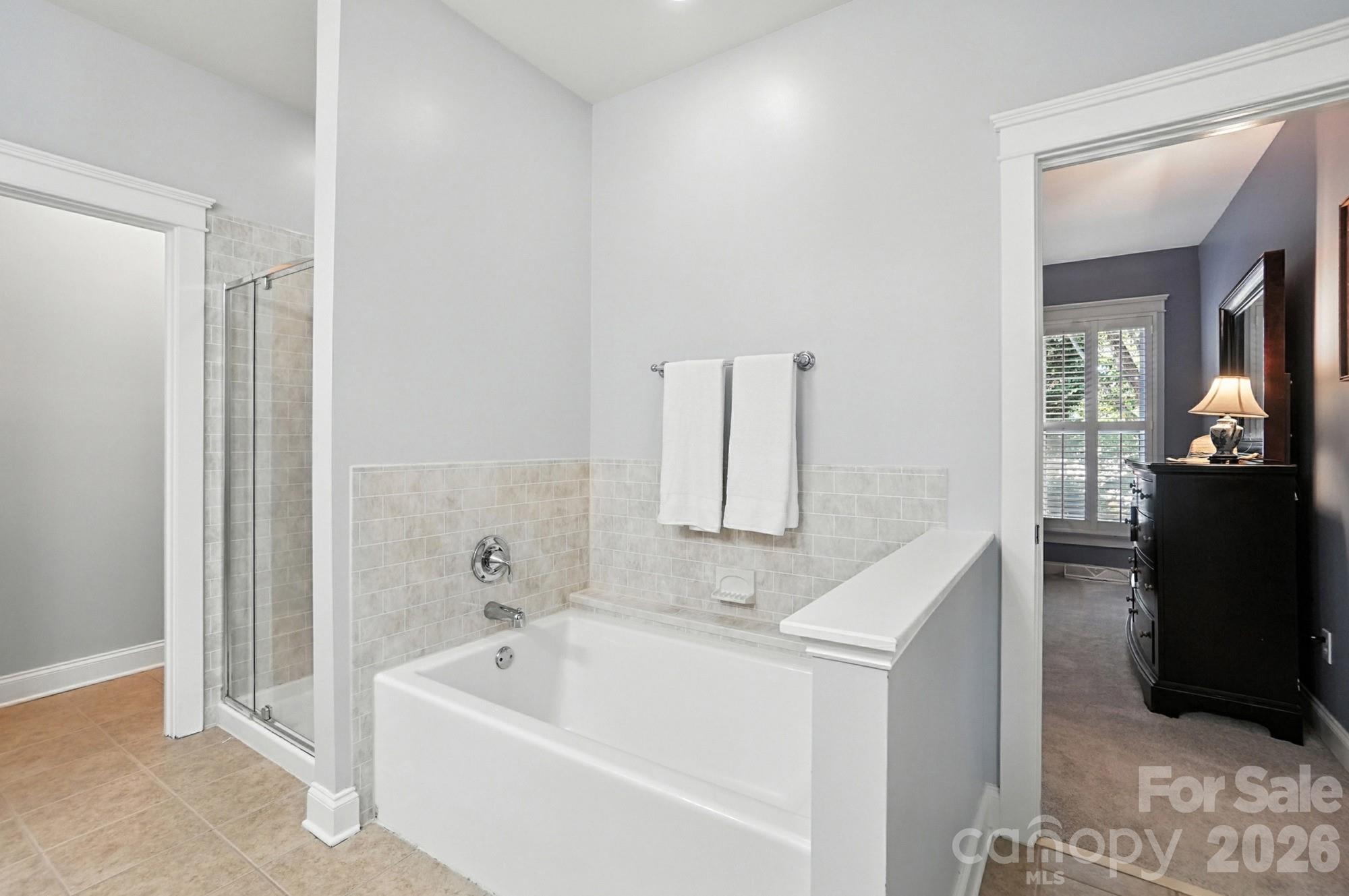 342 Shoreline Parkway, Tega Cay, SC - photo 17 of 47