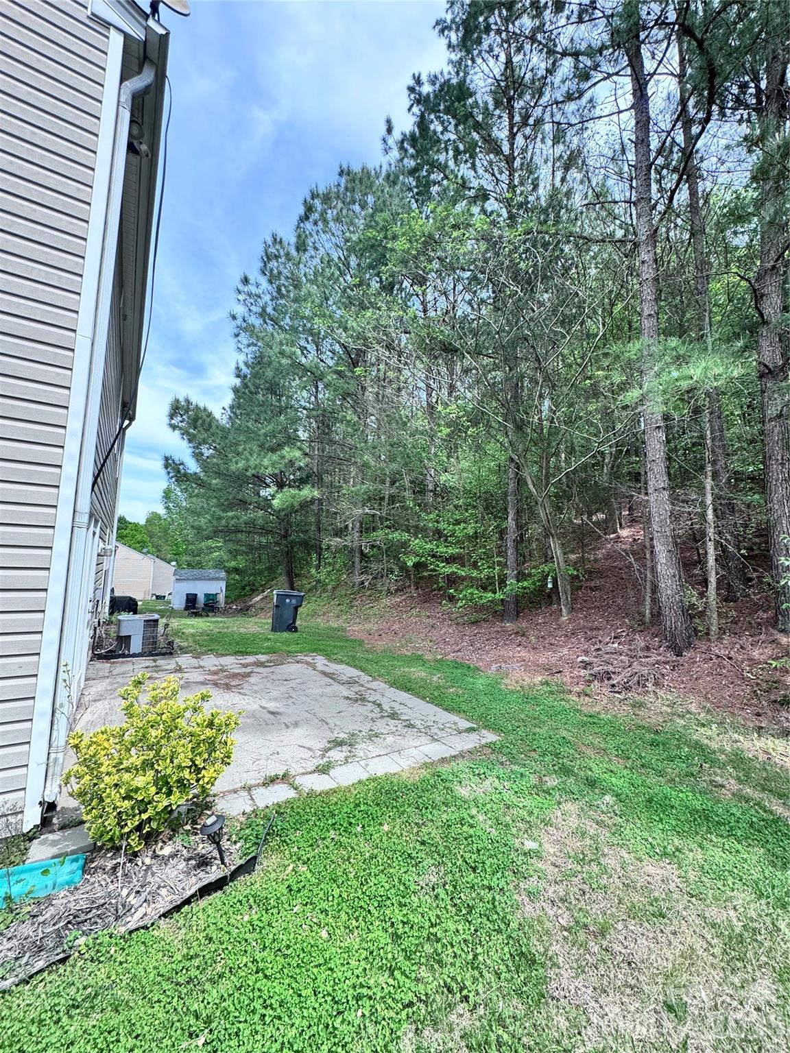 6528 Forest Cross Drive, Charlotte, NC - photo 5 of 24