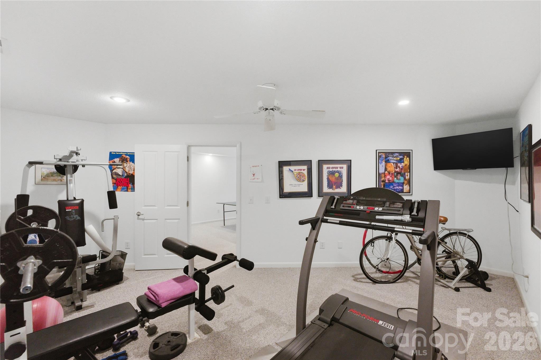 18426 Peninsula Cove Lane, Cornelius, NC - photo 42 of 49