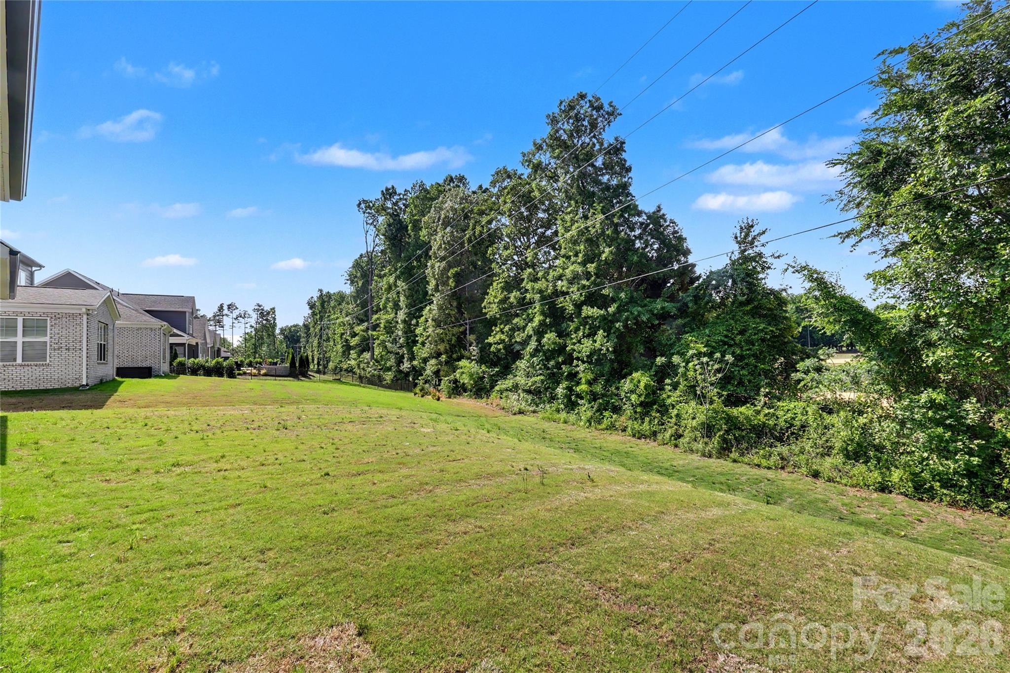 9925 Ardley Park Way, Mint Hill, NC - photo 46 of 47