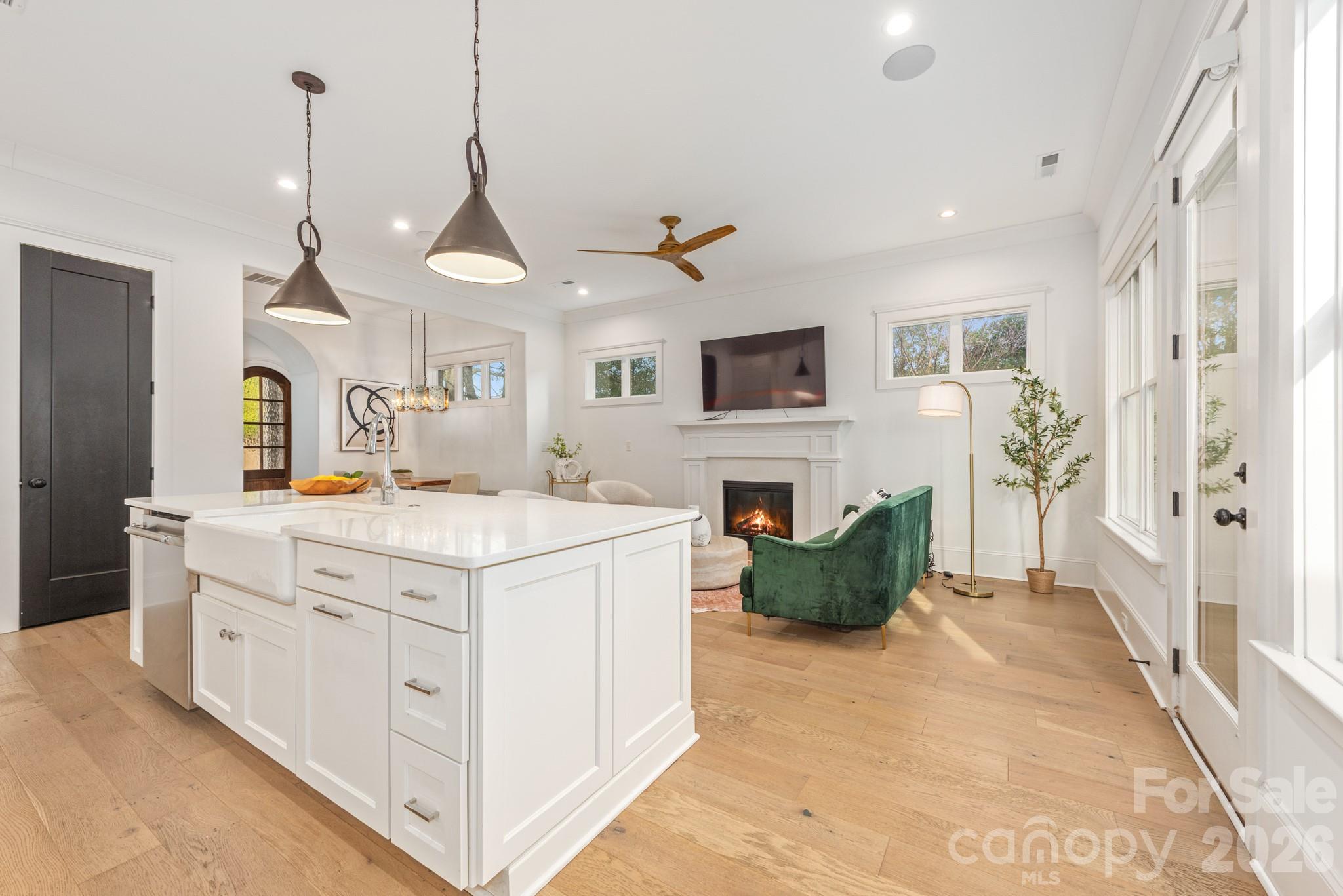 607 Mattie Rose Lane, Charlotte, NC - photo 9 of 48