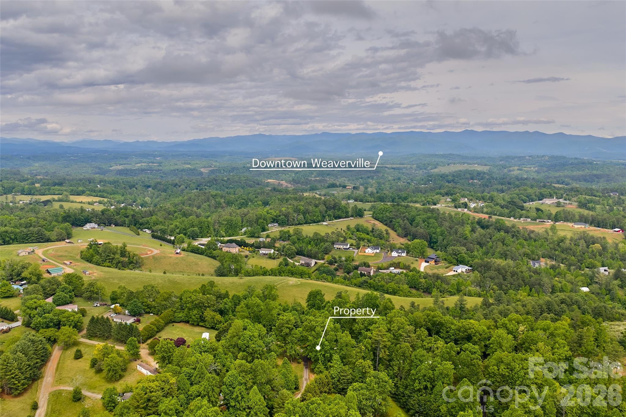 611 Turkey Creek Terrace, Leicester, NC - photo 40 of 43