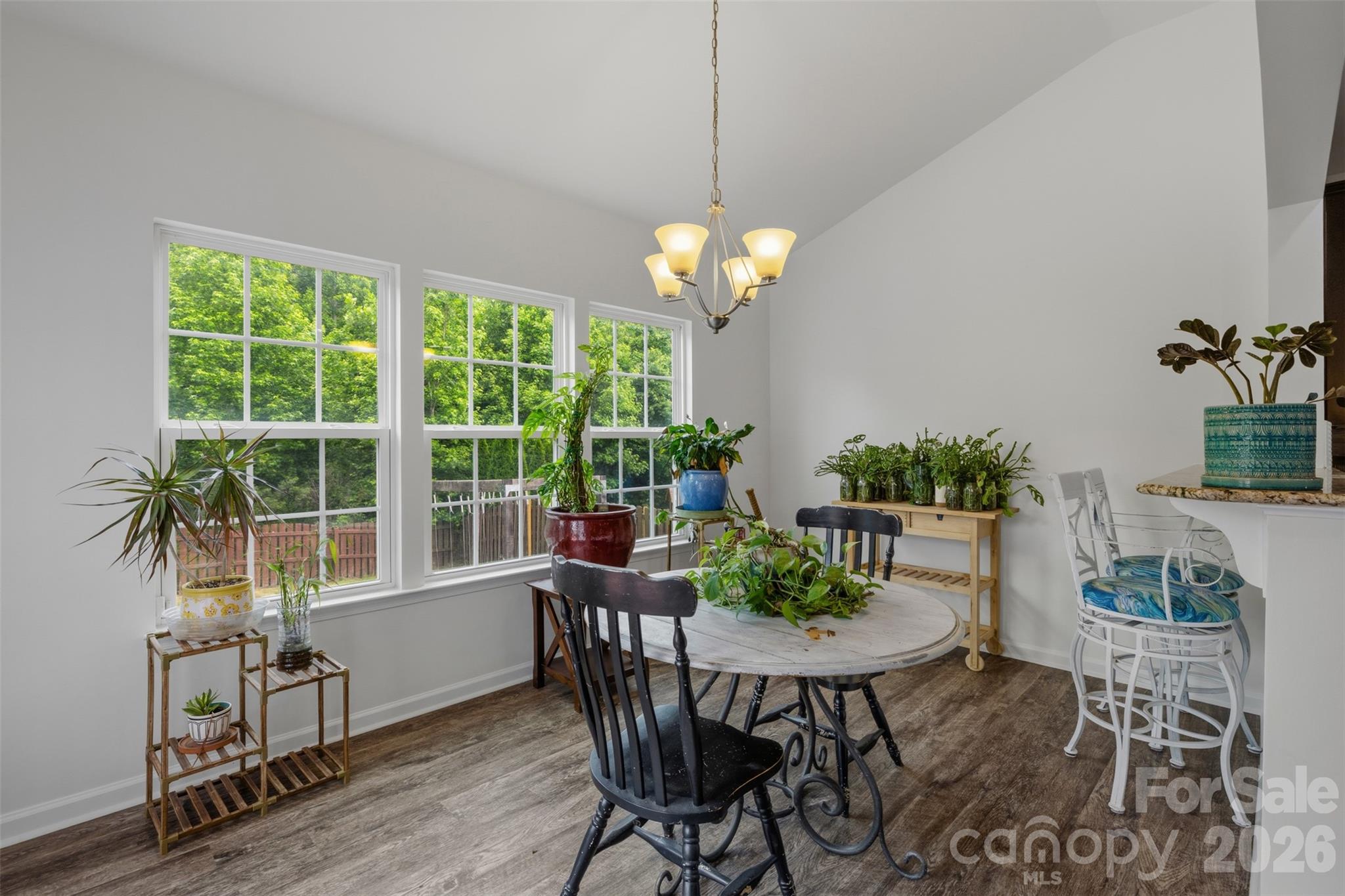 1282 Yellow Springs Drive, Fort Mill, SC - photo 10 of 36