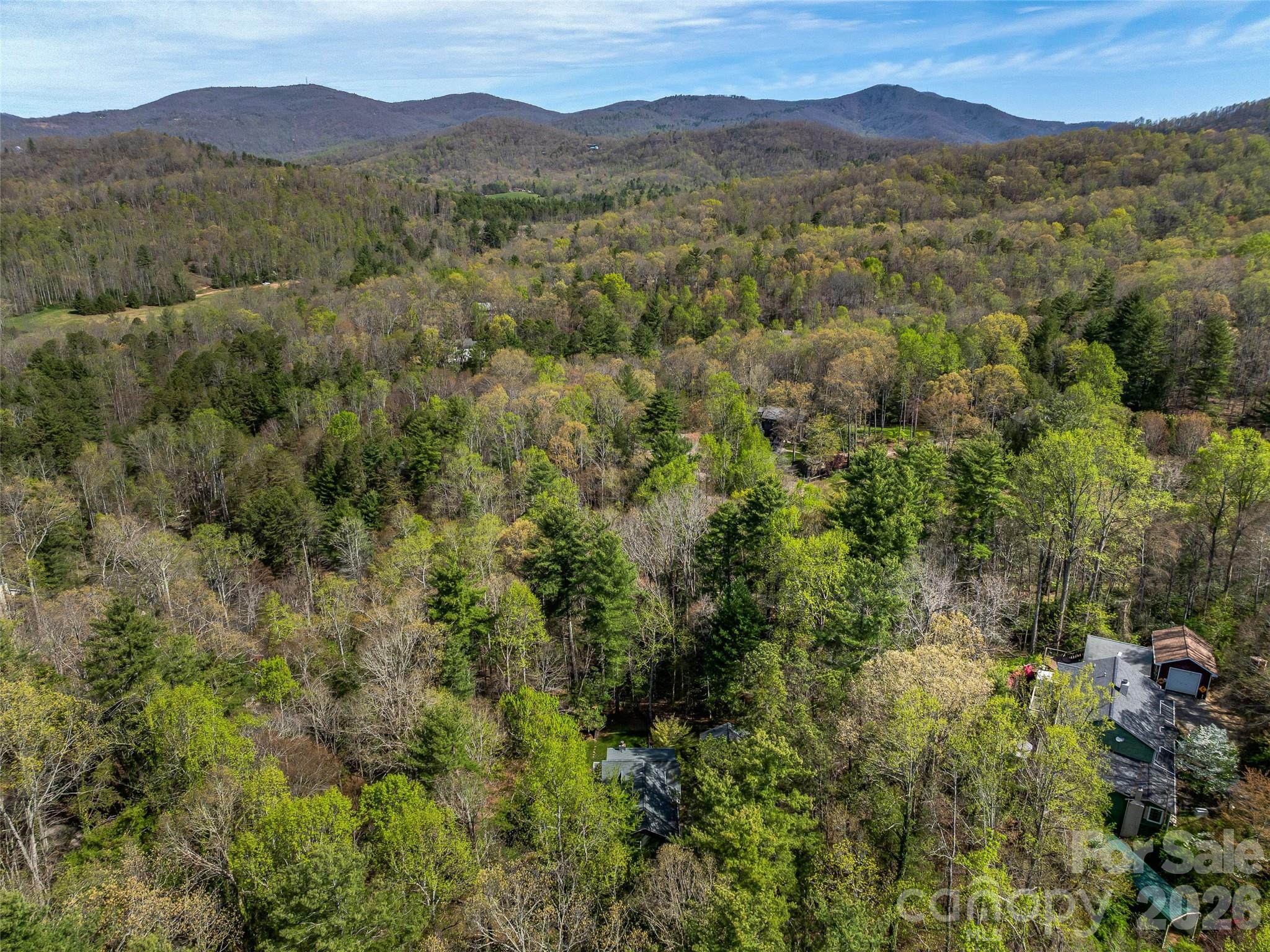 18 Thousand Oaks Boulevard, Fairview, NC - photo 39 of 45