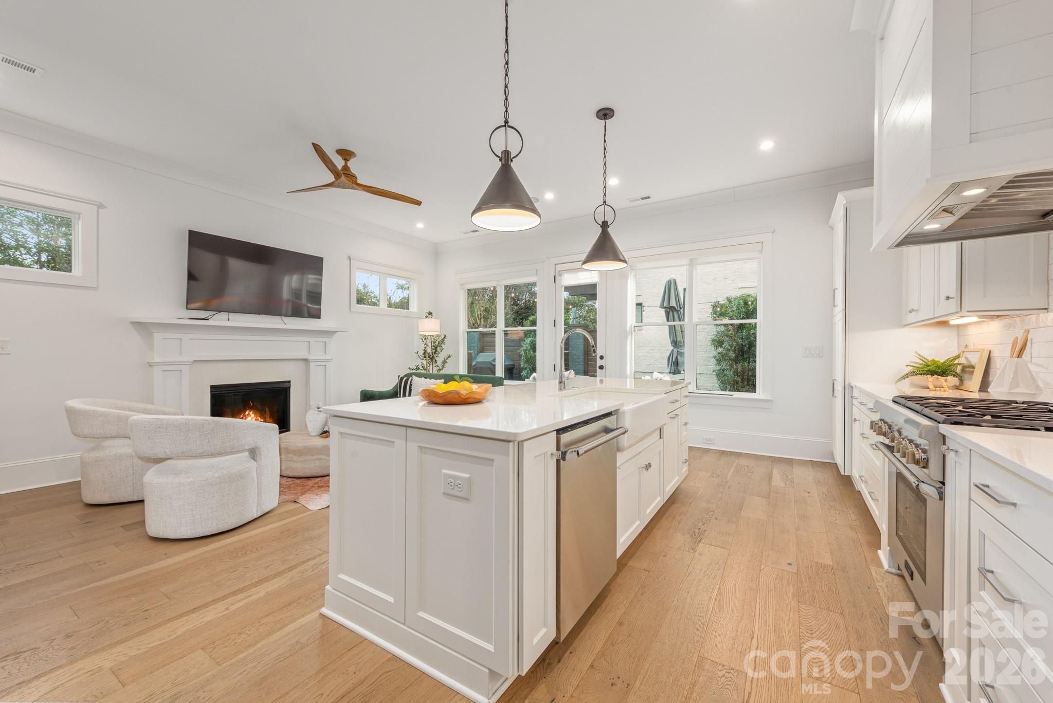 607 Mattie Rose Lane, Charlotte, NC - photo 8 of 48