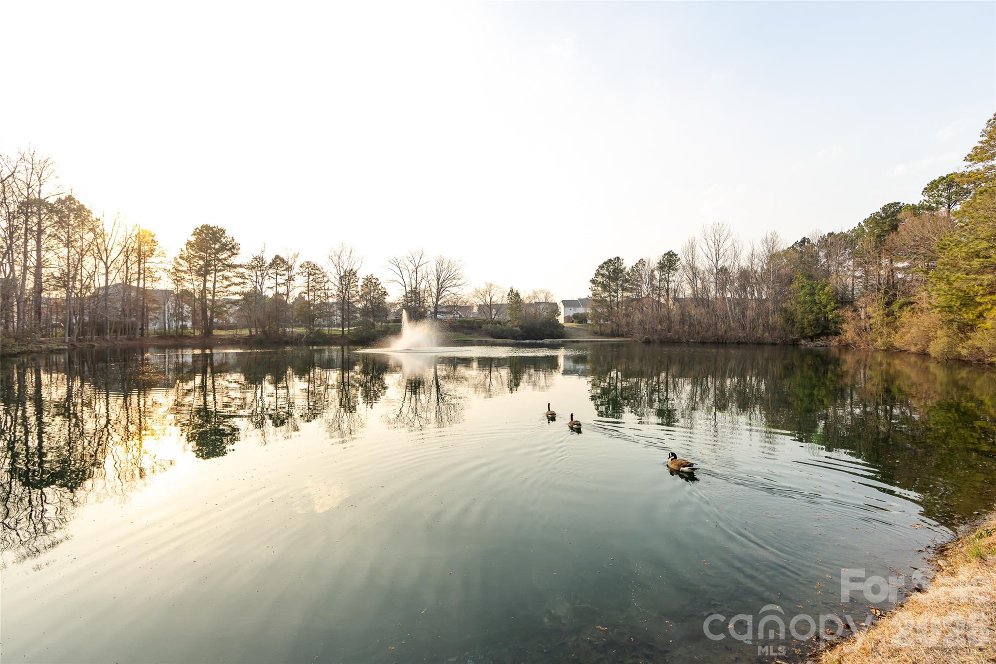 Photo 41 of 2705 Gosling Terrace Road, Charlotte, NC