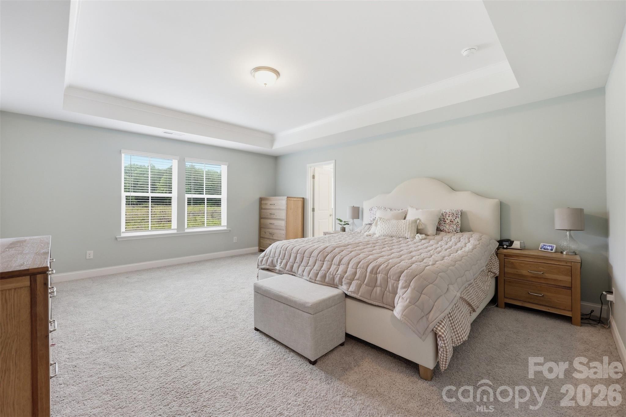 Home for sale at 287 Supernova Drive, York, SC — photo 27 of 48