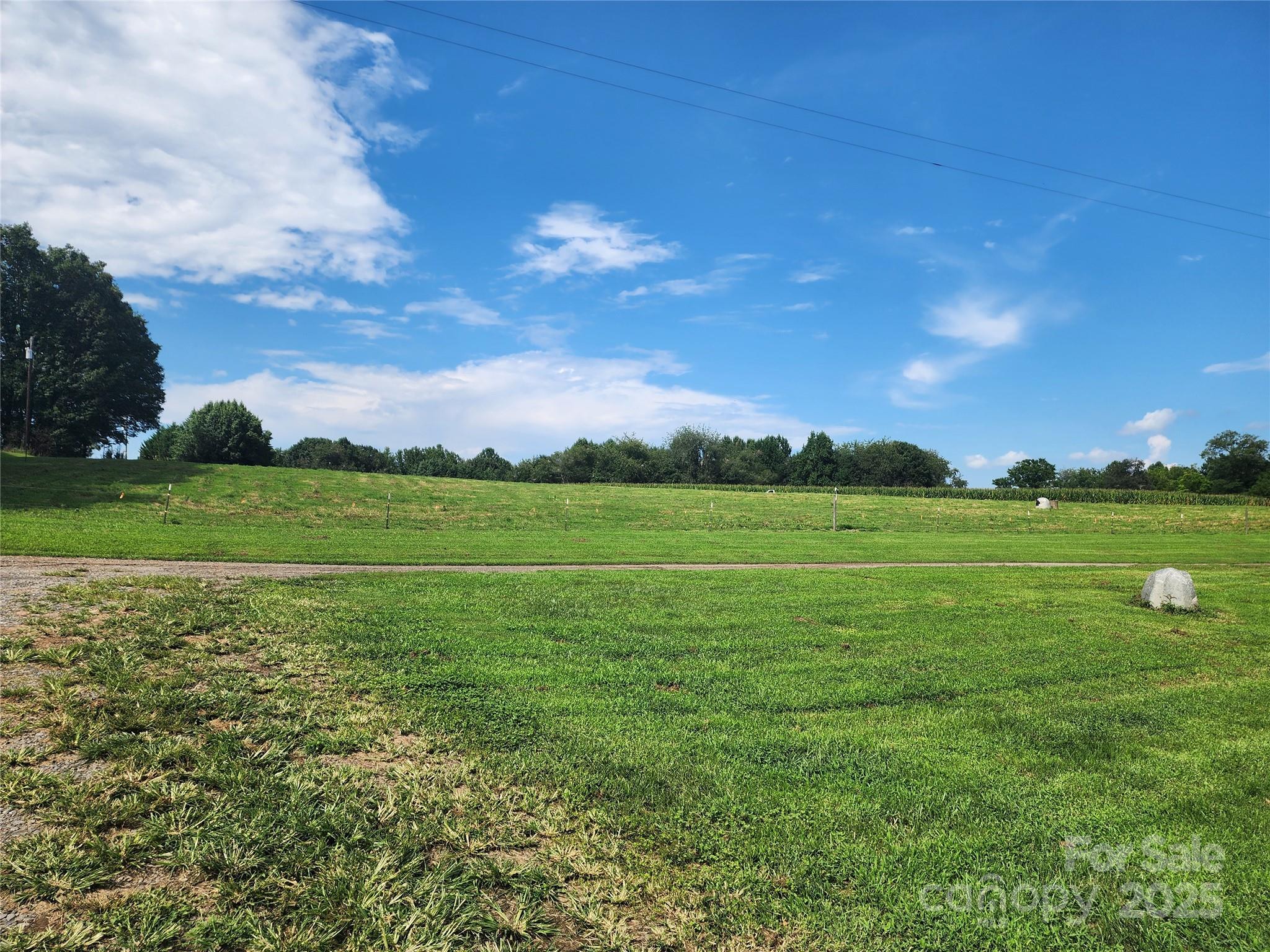 167 Buck Hollow Trail, Ararat, NC - photo 21 of 45