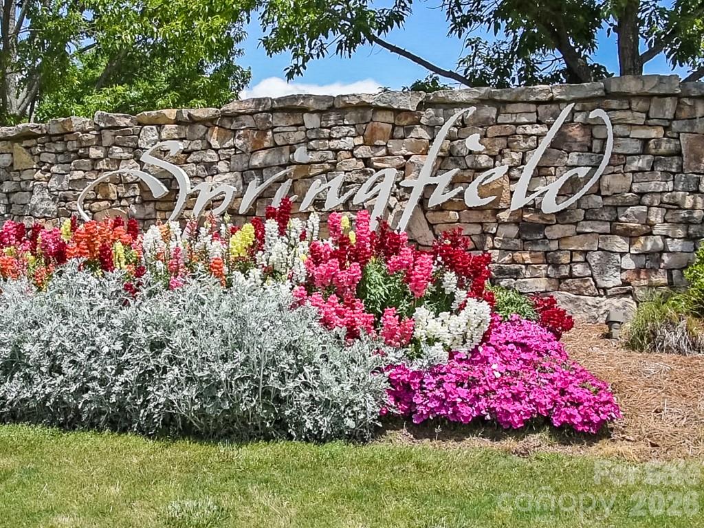 Photo 46 of 731 Mendenhall Court, Fort Mill, SC