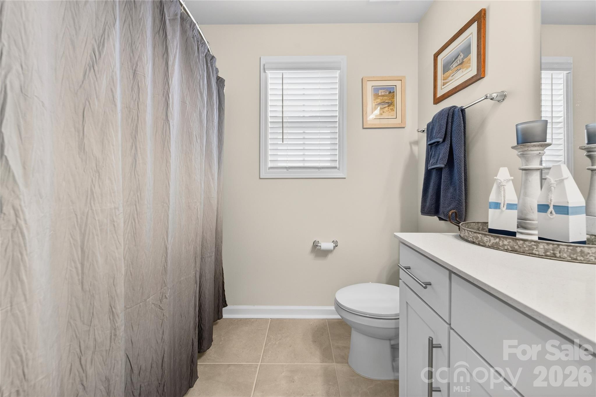 Home for sale at 113 Saidin Lane, Troutman, NC — photo 34 of 48