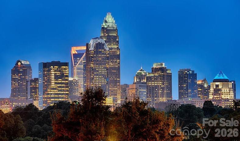 Photo 4 of 1608 N Davidson Street, Charlotte, NC