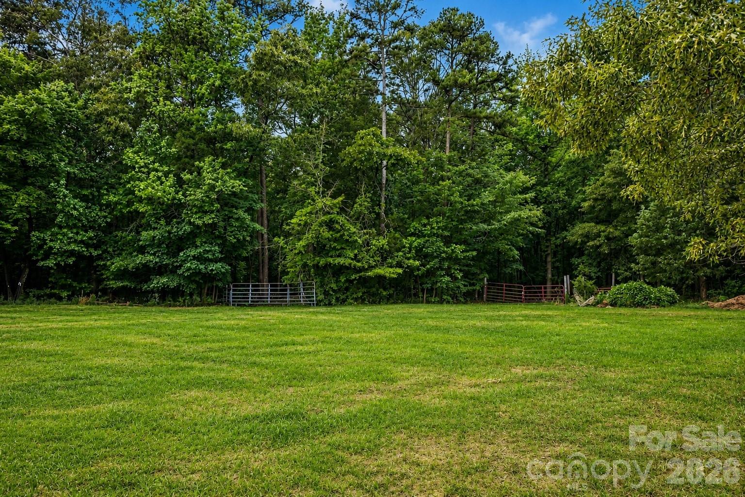 3355 Mary Elizabeth Church Road, Waxhaw, NC - photo 13 of 26