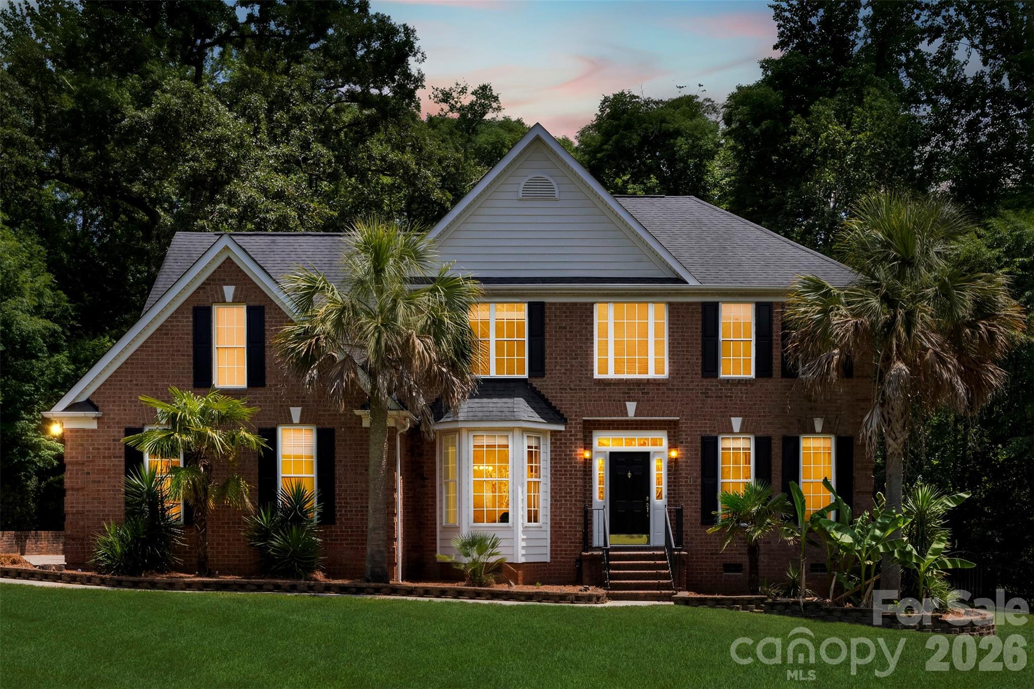 6520 Hollow Oak Drive, Mint Hill, NC - photo 3 of 45