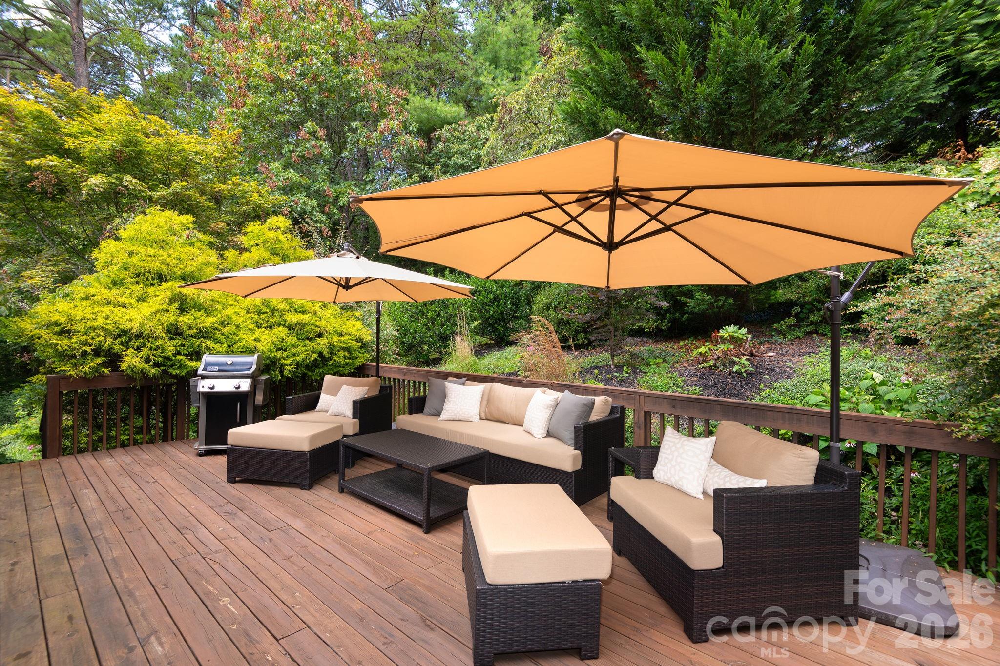 212 Blue Ridge Vista, Asheville, NC - photo 23 of 44