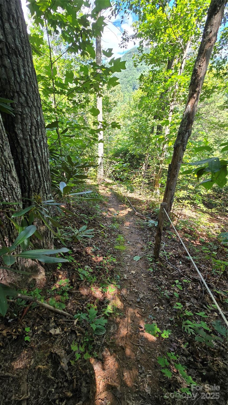 288 Long Ridge Road, Old Fort, NC - photo 43 of 49
