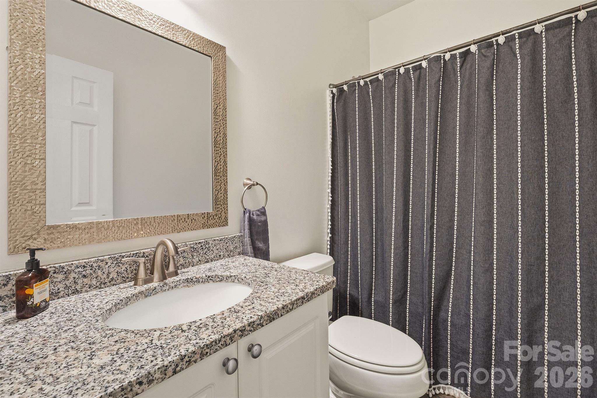 146 Trotter Ridge Drive, Mooresville, NC - photo 37 of 48