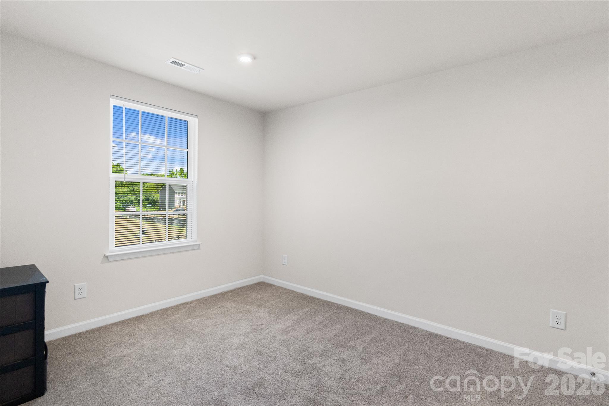 1409 May Apple Drive, Matthews, NC - photo 6 of 38