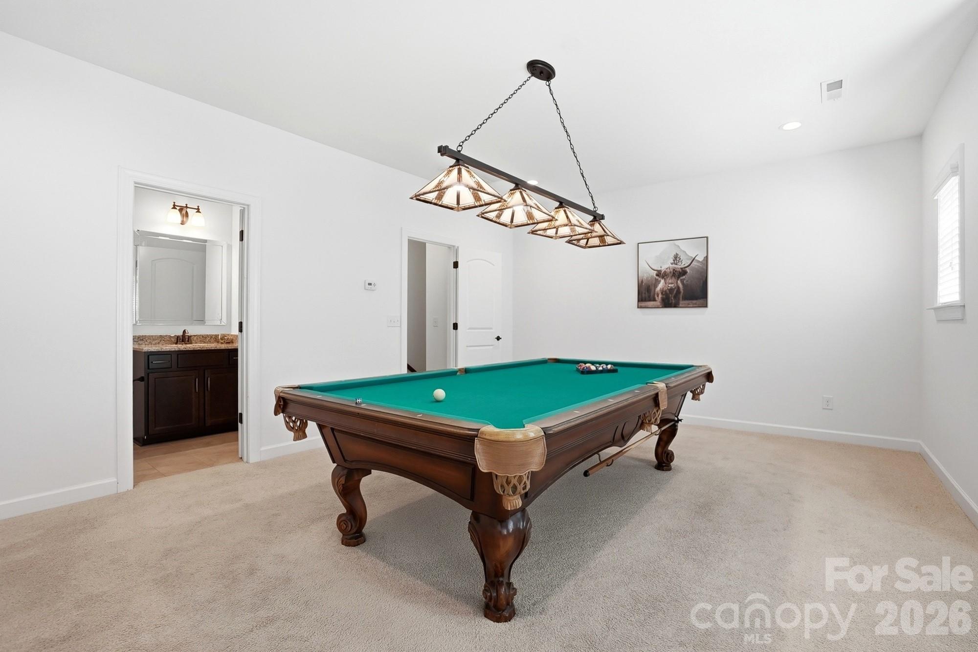 1533 Springfield Drive, Waxhaw, NC - photo 33 of 48