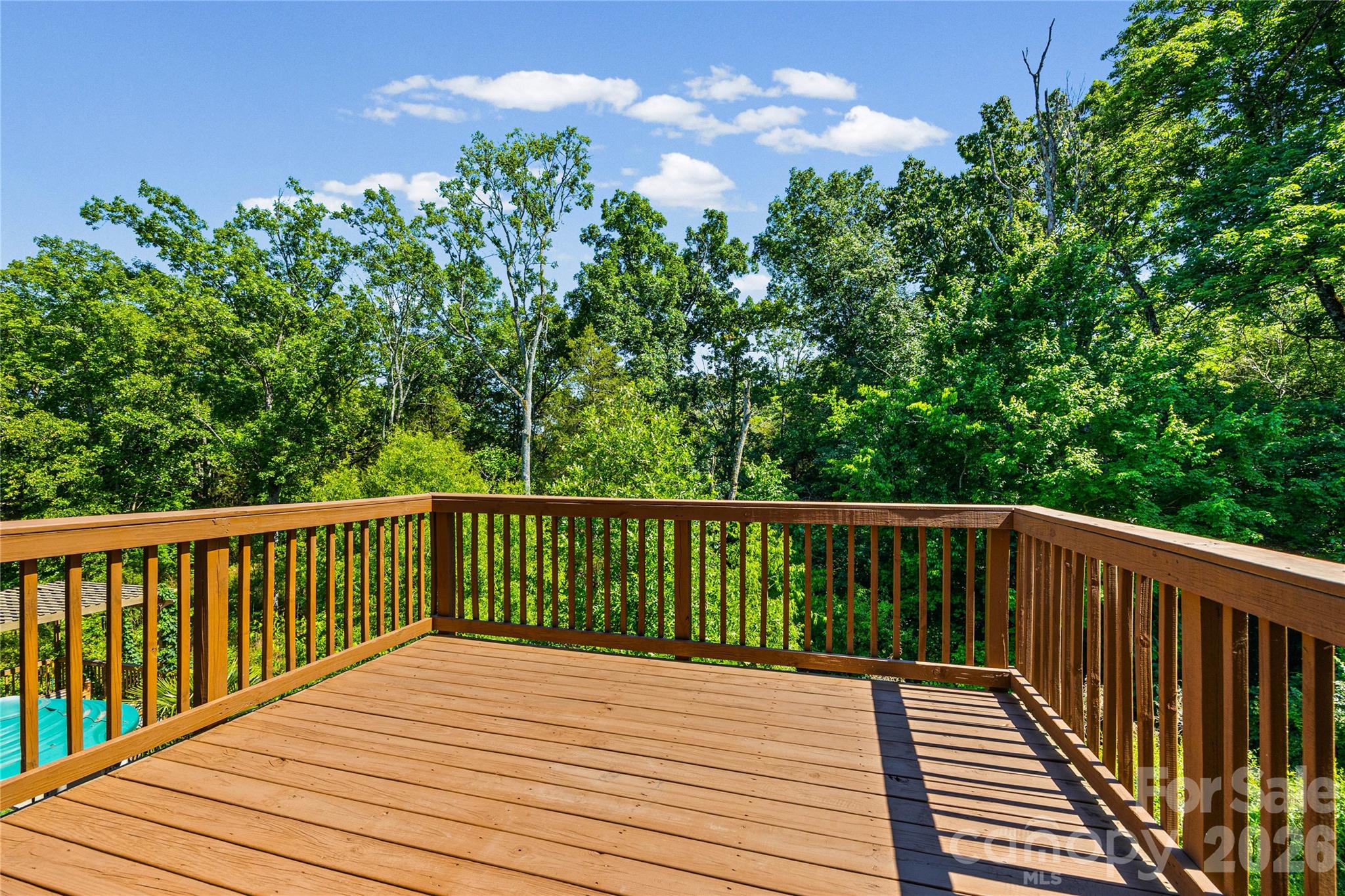 1008 Dorsey Drive, Fort Mill, SC - photo 14 of 49