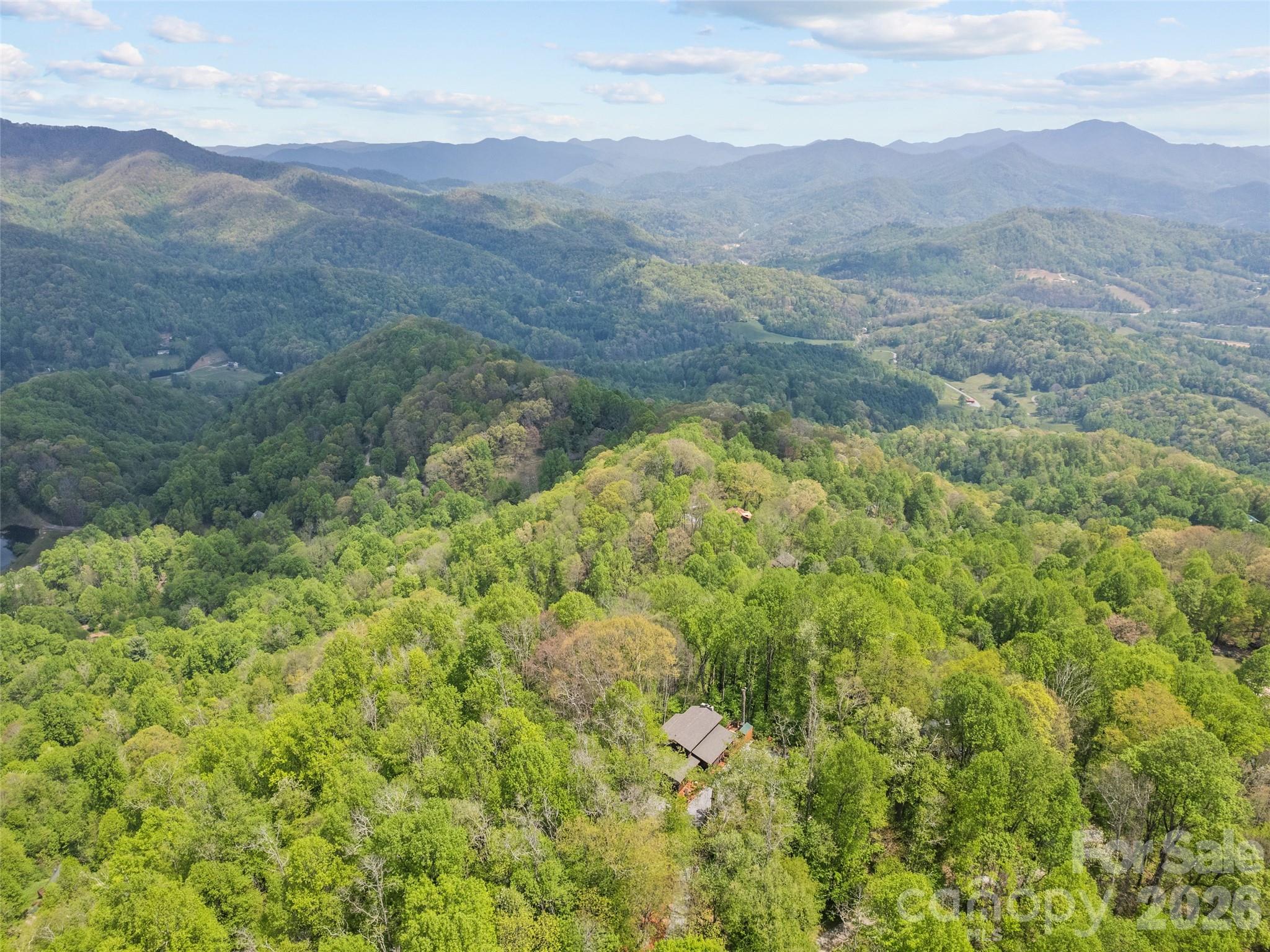 2863 Heath Peak Road, Waynesville, NC - photo 15 of 49