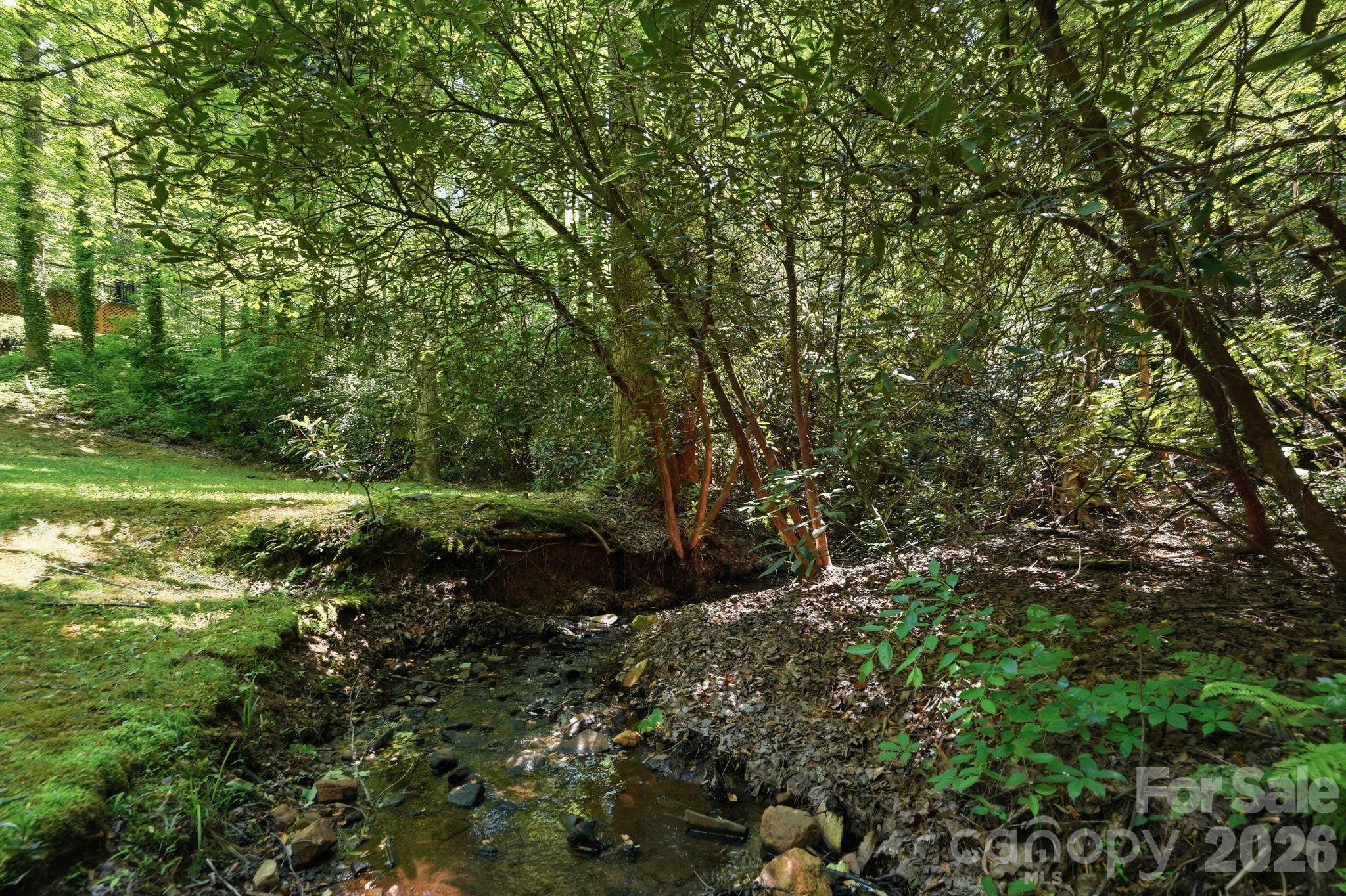 16 Shadow Brook Drive, Flat Rock, NC - photo 40 of 44