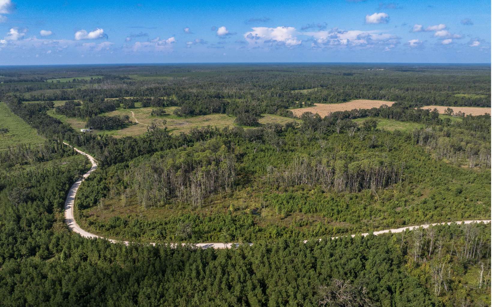 Florida Land Network Leonard Dicks LLC | North Florida Land for Sale