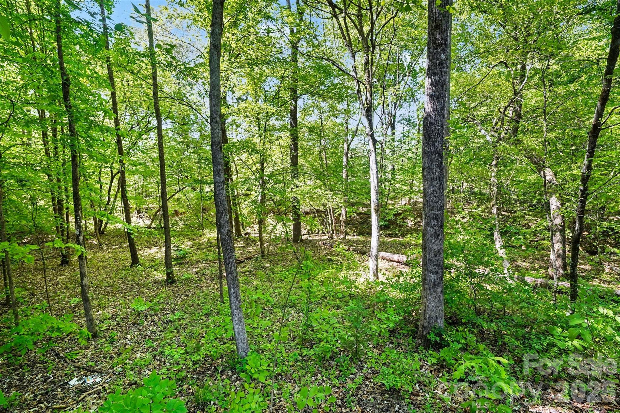 7250 Empire Drive, Mount Pleasant, NC - photo 25 of 30