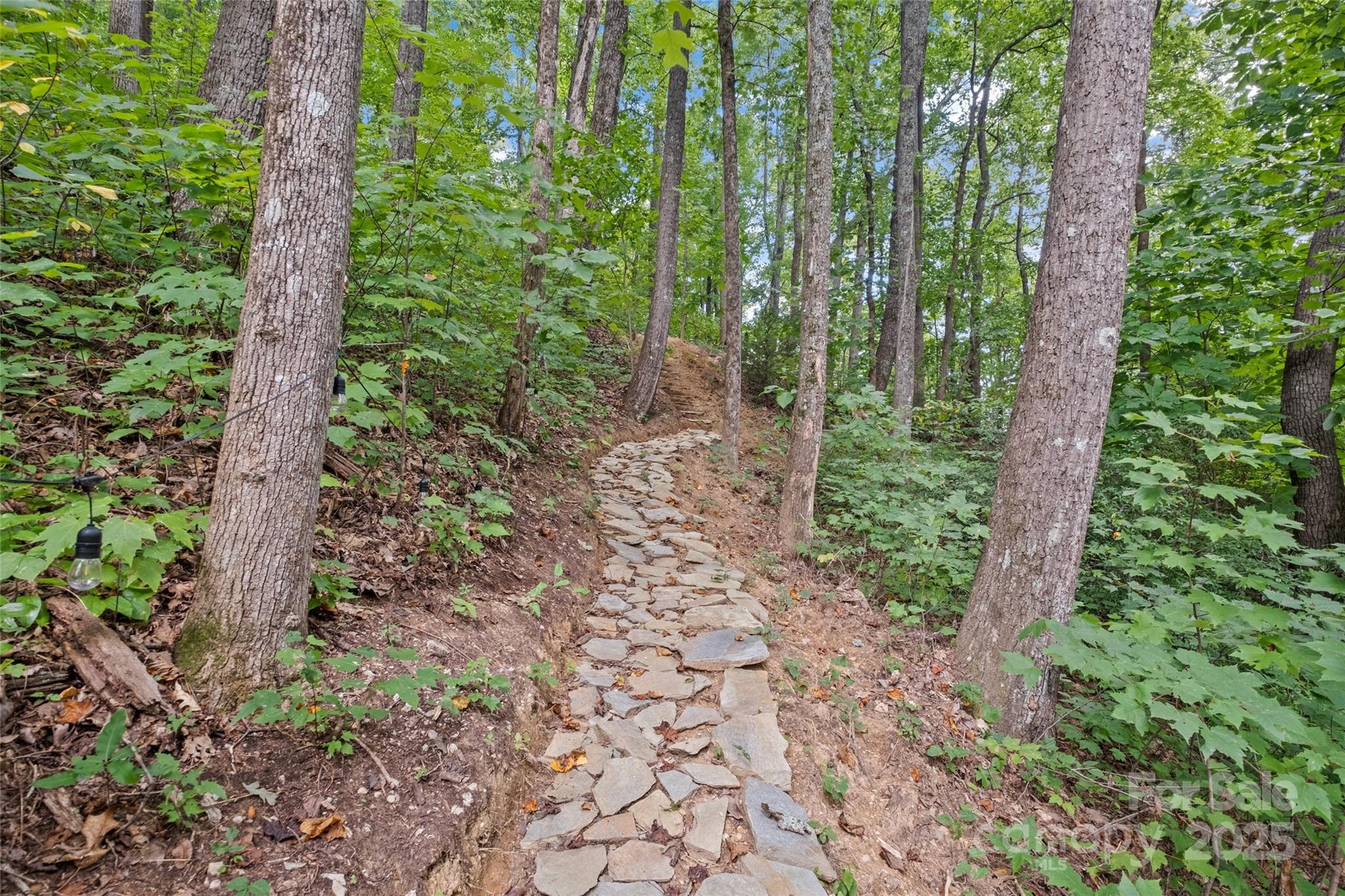 214&212 McKenzie Way, Old Fort, NC - photo 8 of 46