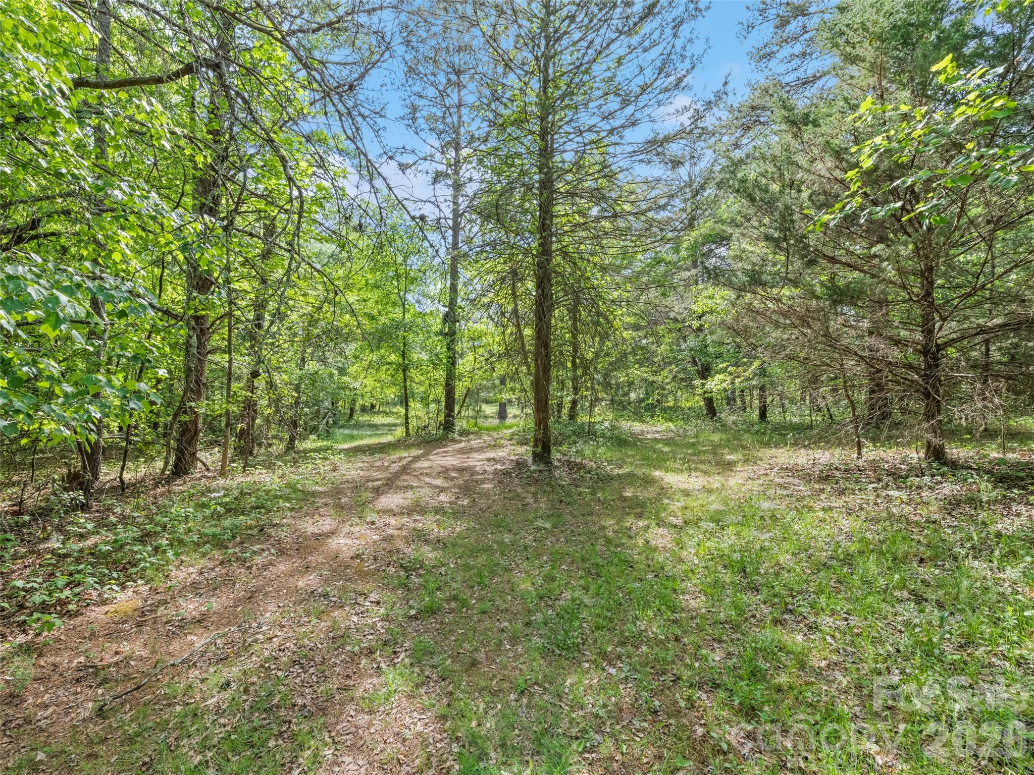 311 Soco Gap Road, Ellenboro, NC - photo 5 of 25