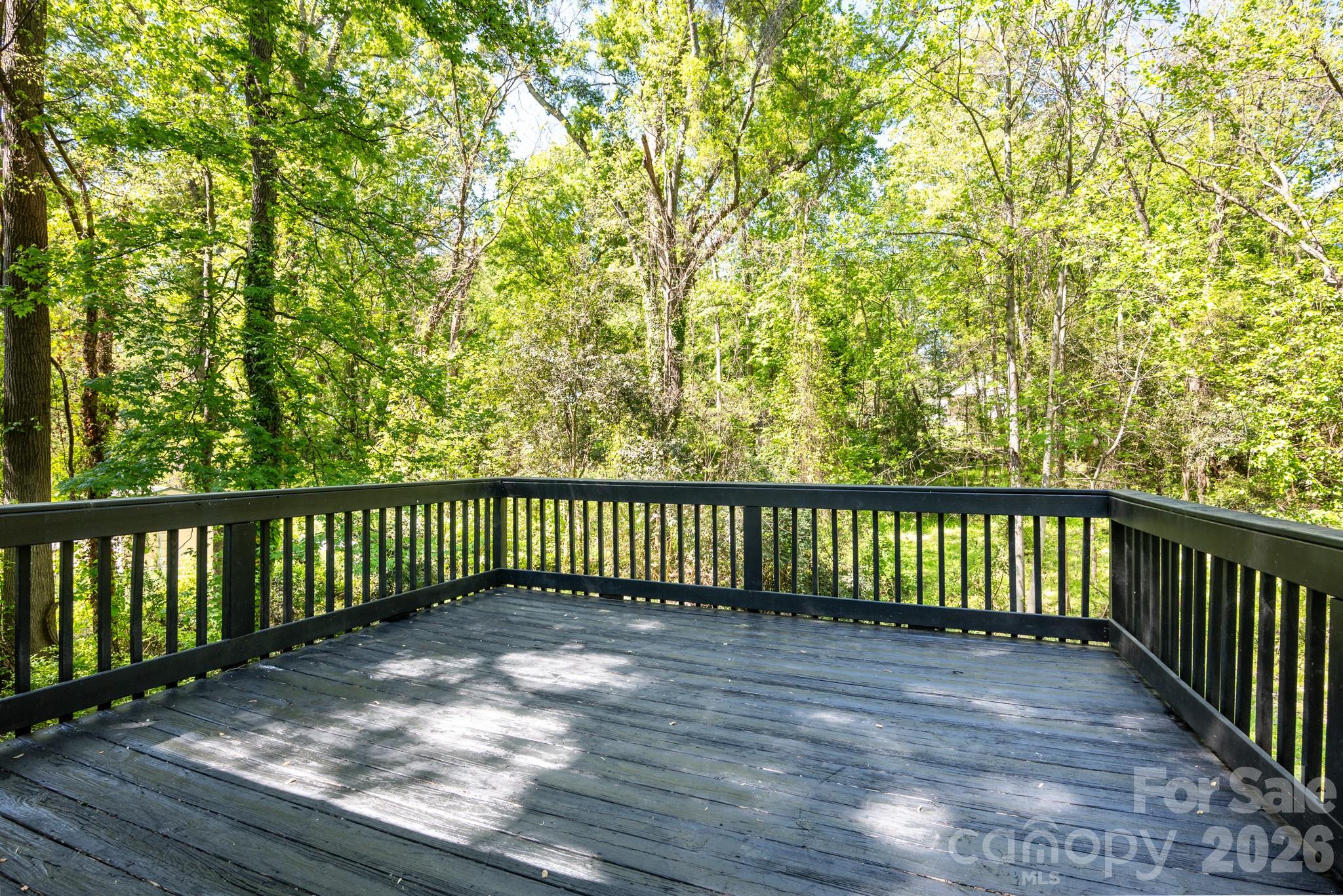 Photo 4 of 116 Springdale Drive, York, SC