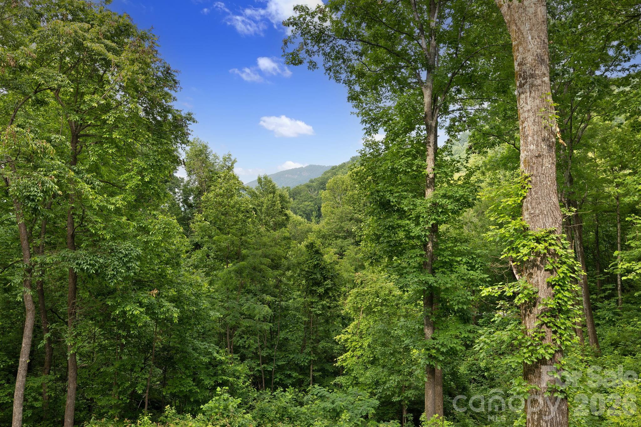 771 Sally Gap Road, Old Fort, NC - photo 23 of 49