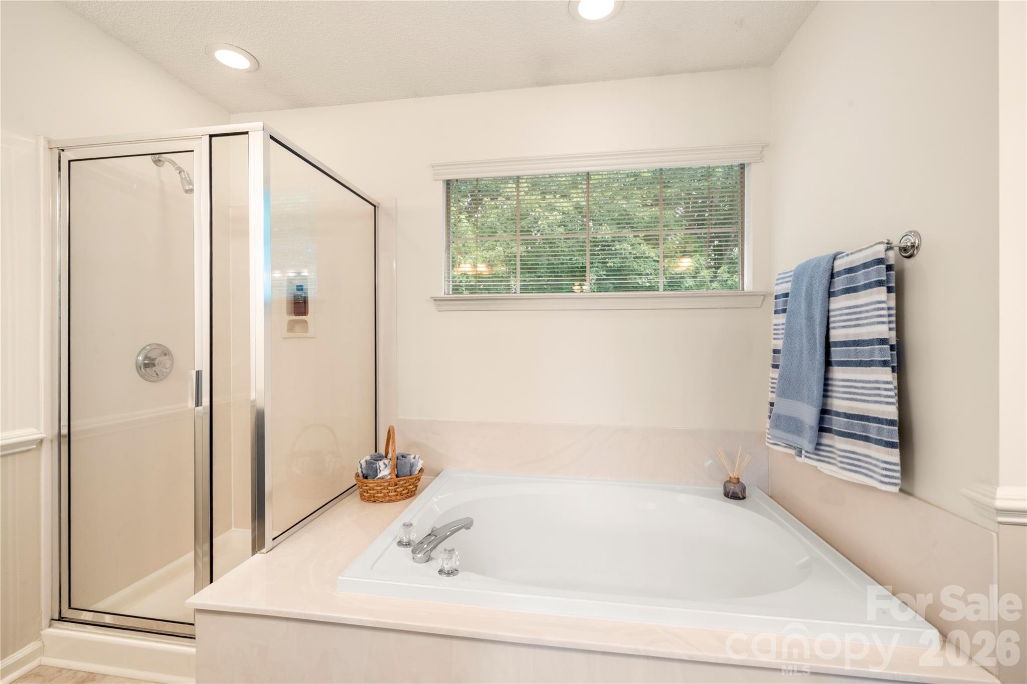 Photo 28 of 12245 Sutters Hill Court, Charlotte, NC
