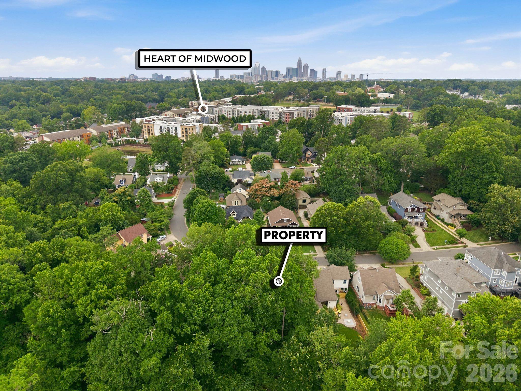 Photo 39 of 1234 Ivey Drive, Charlotte, NC