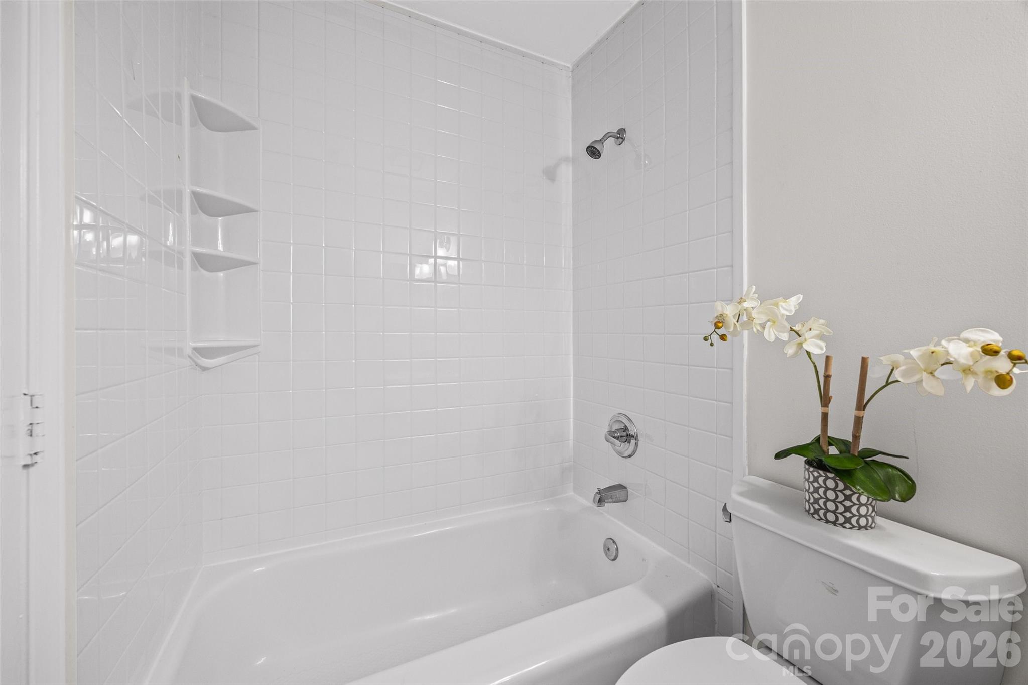 Photo 21 of 8117 Circle Tree Lane, Charlotte, NC