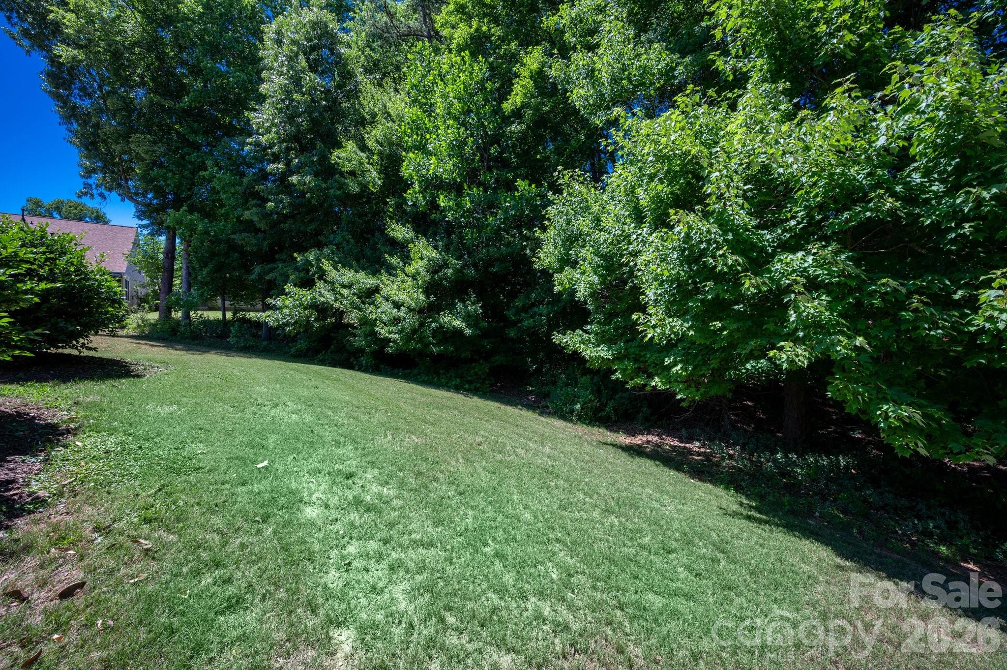 1265 Hamburg Court, Waxhaw, NC - photo 6 of 40