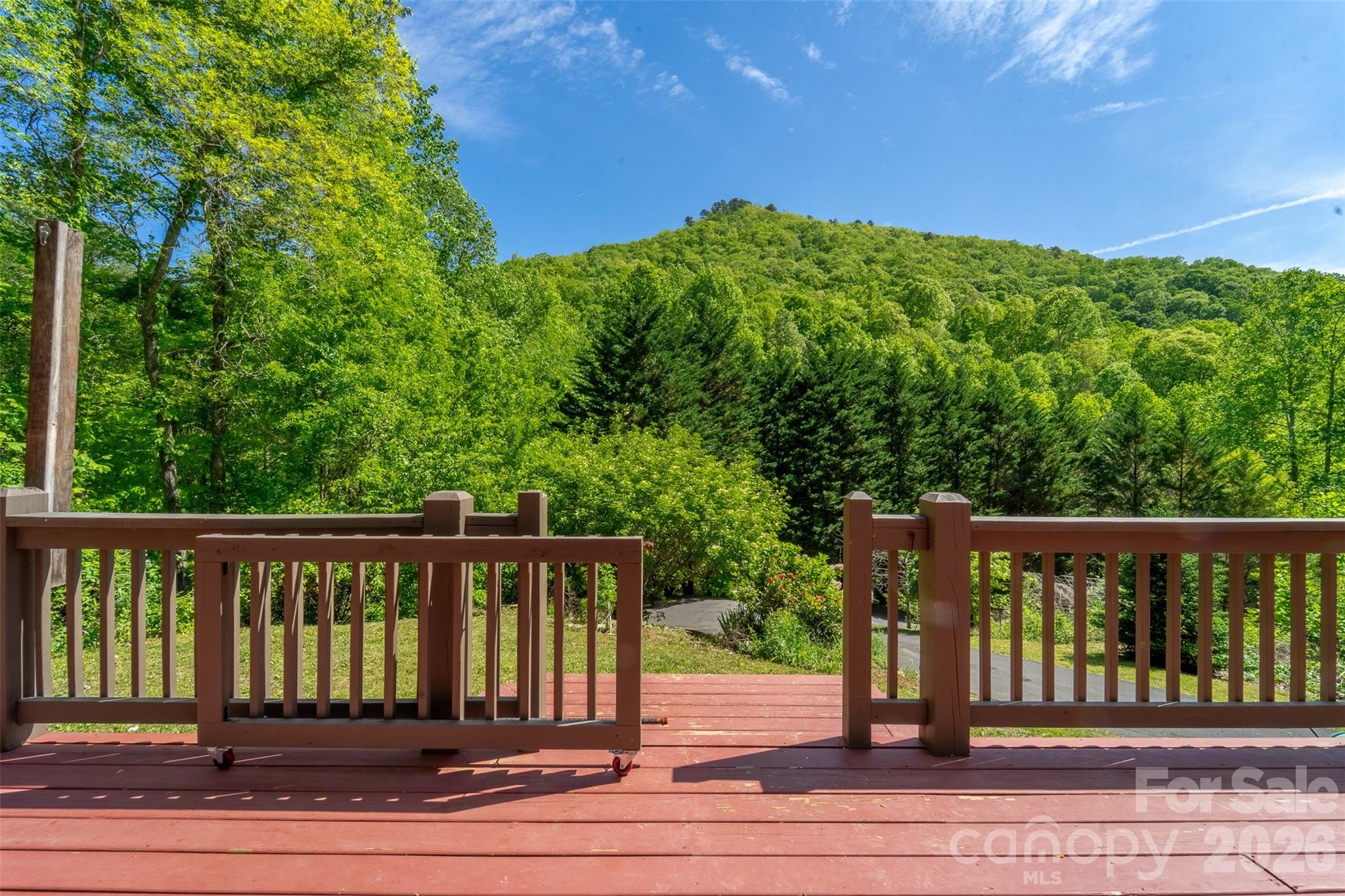 110 Wyoming Drive, Sylva, NC - photo 17 of 27