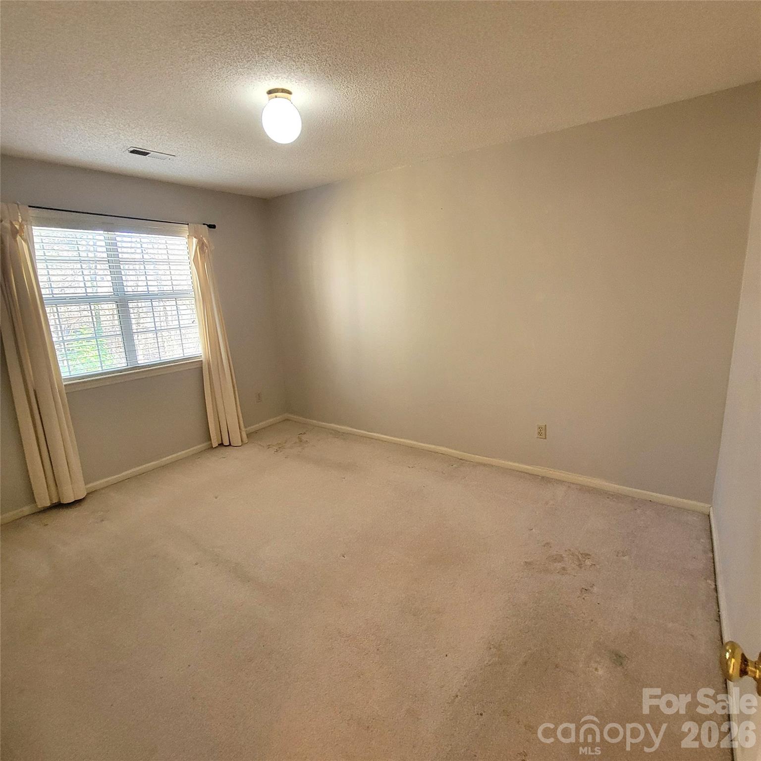 1009 Hunley Hill Court, Matthews, NC - photo 30 of 46