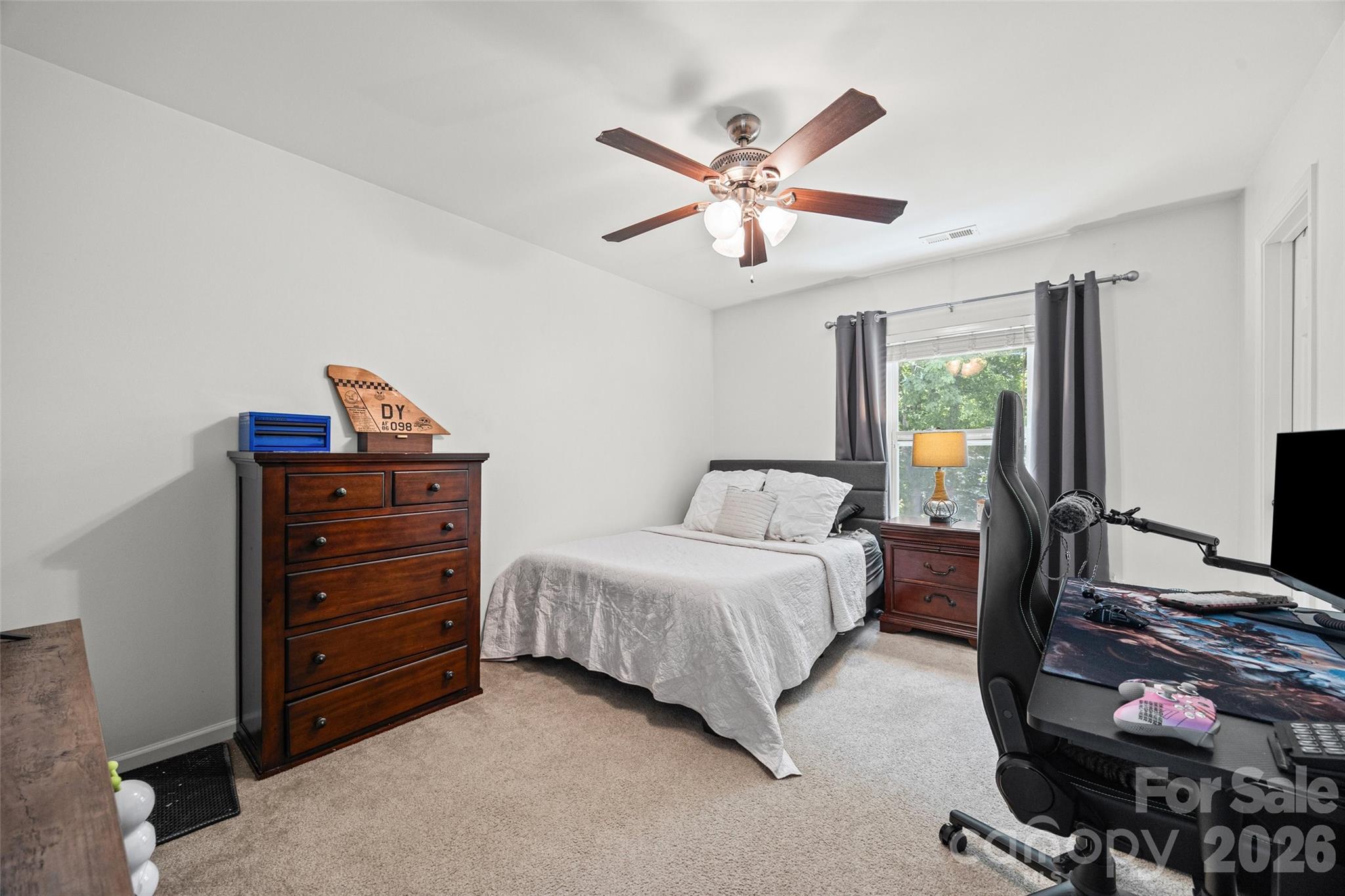 3041 Kilbeggan Drive, Lake Wylie, SC - photo 19 of 40