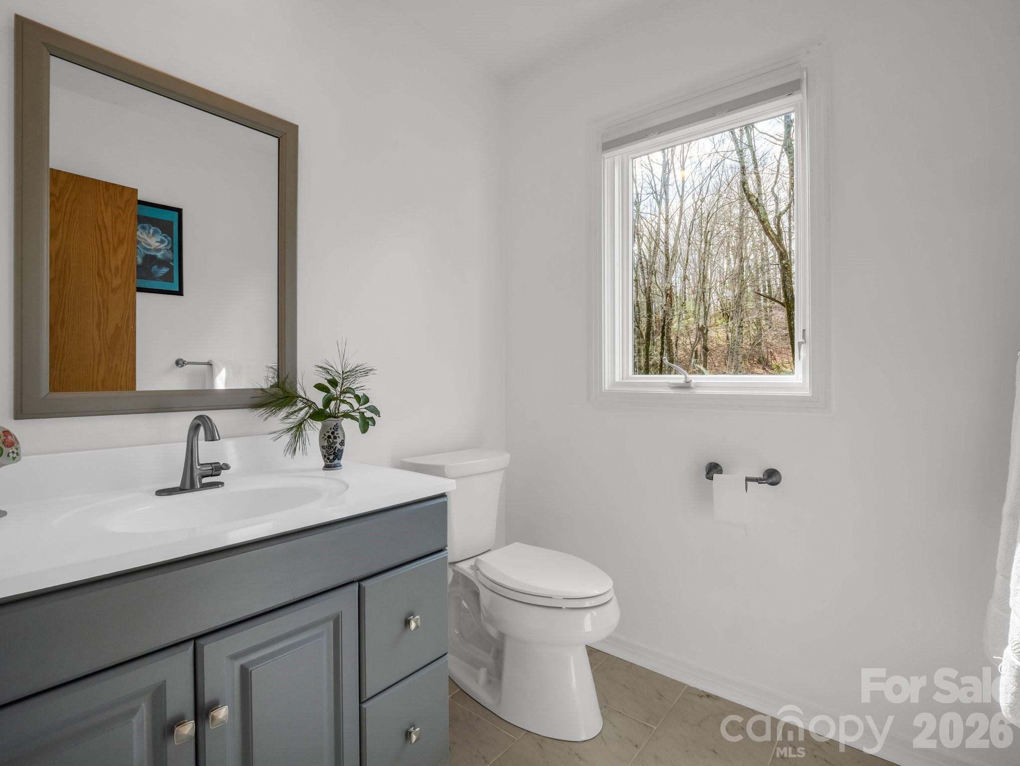 209 Walnut Ridge Road, Brevard, NC - photo 20 of 43