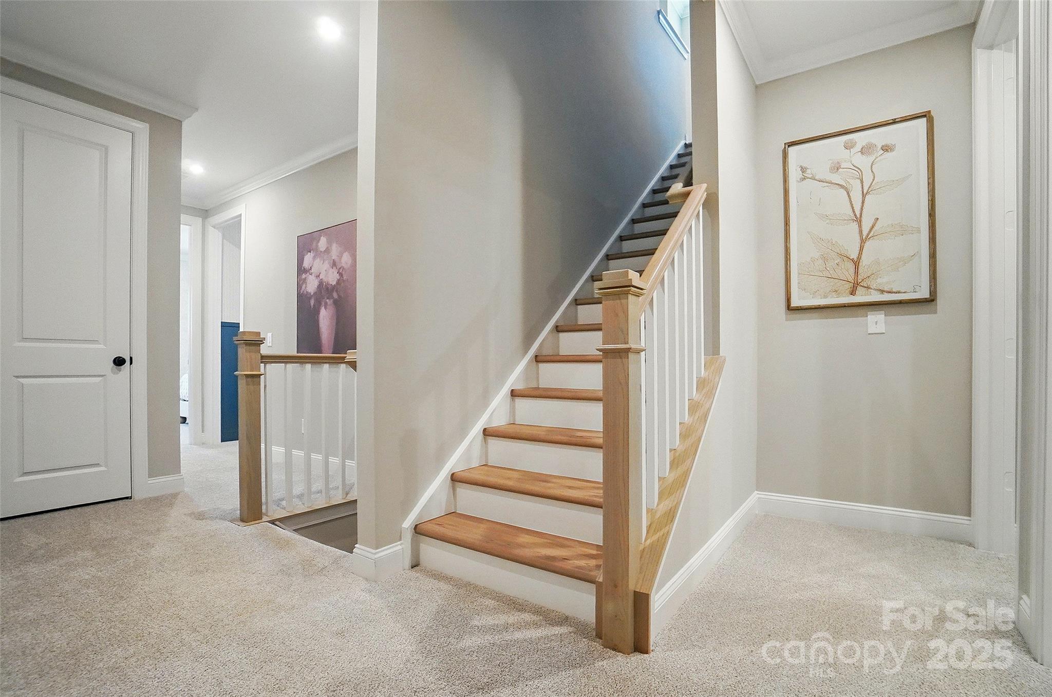 Photo 27 of 12119 Lavinia Lane, Charlotte, NC