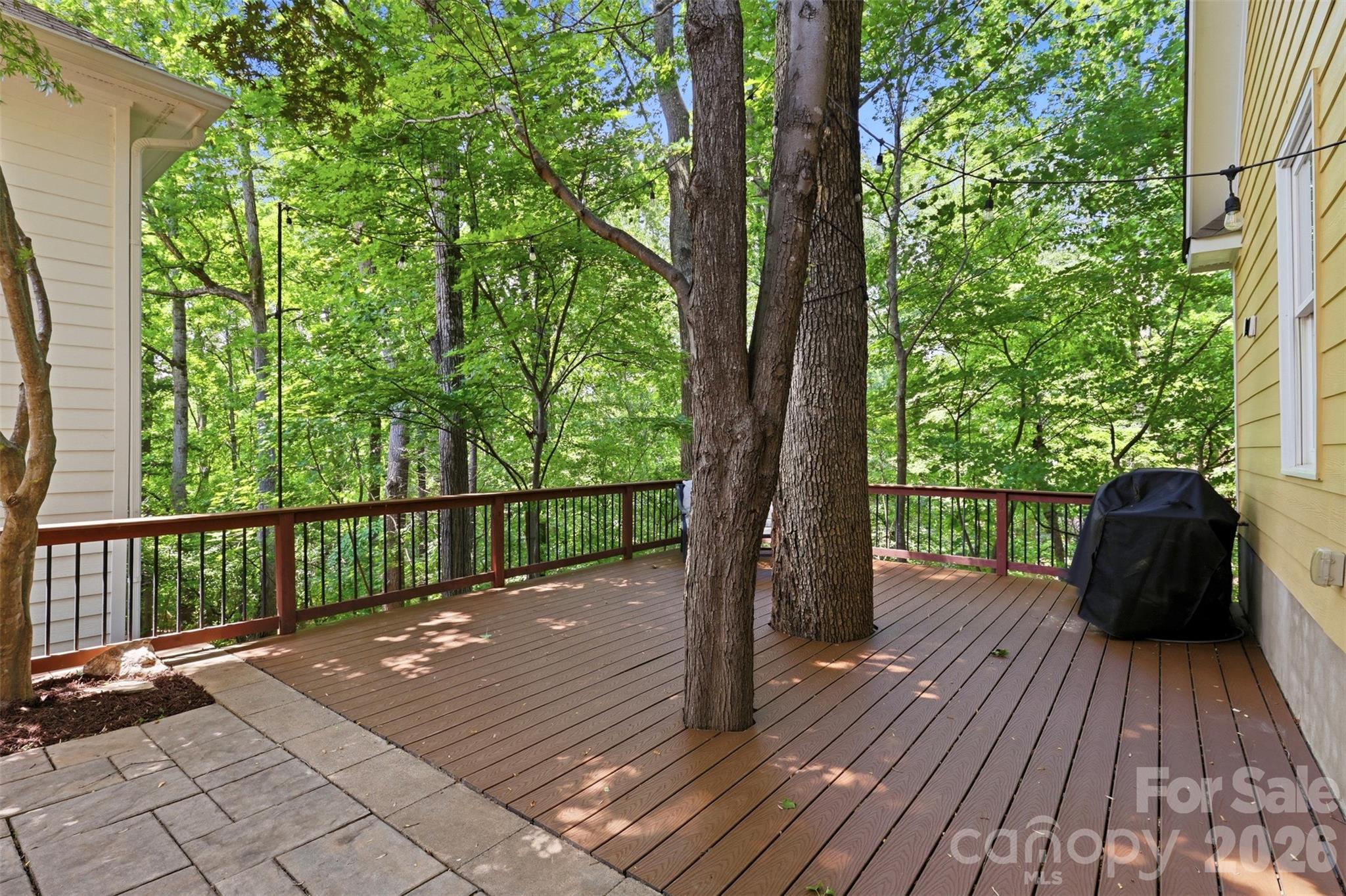 739 Julia Street, Fort Mill, SC - photo 38 of 49