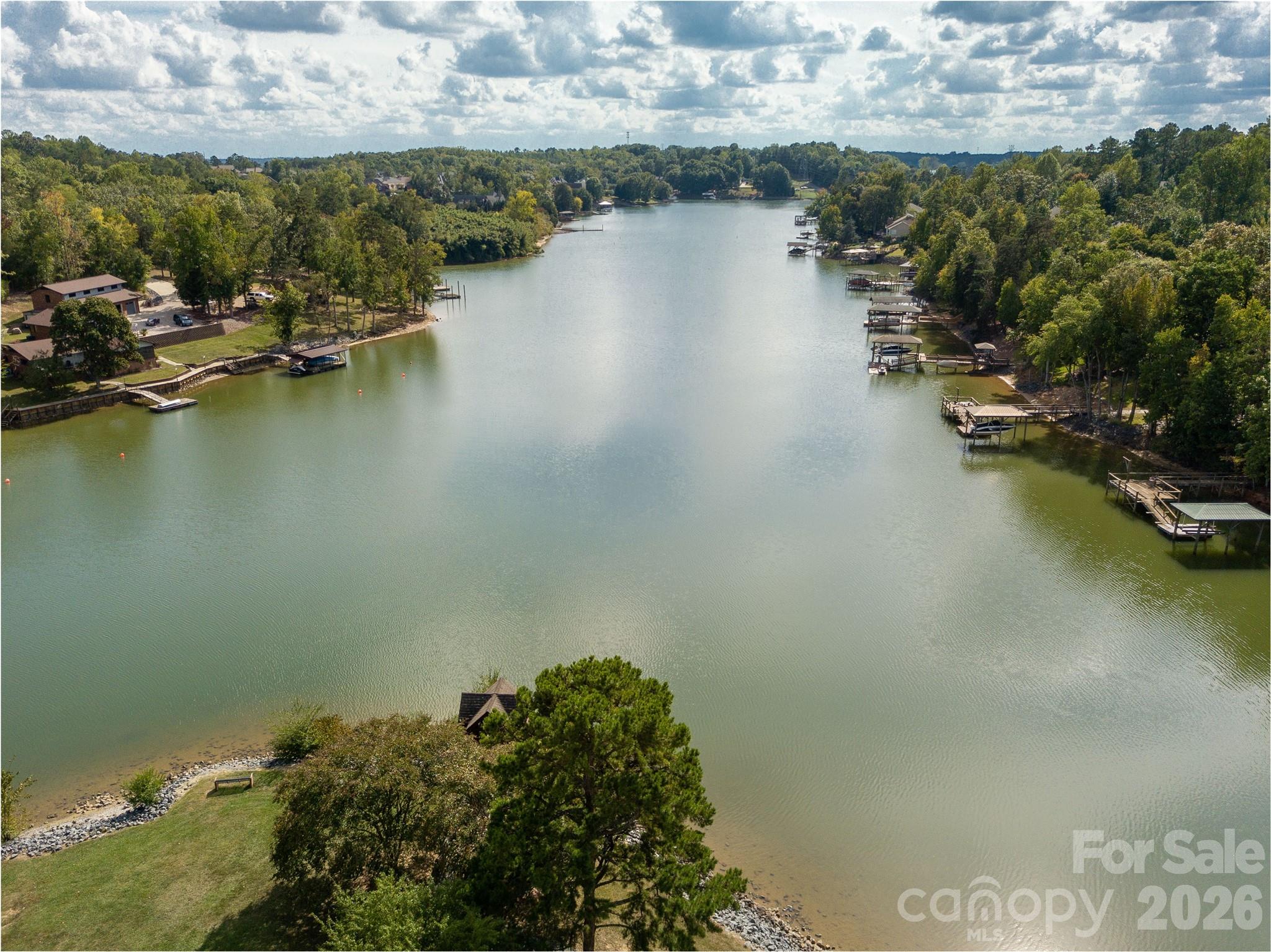 448 Lahinch Drive, Tega Cay, SC - photo 43 of 45