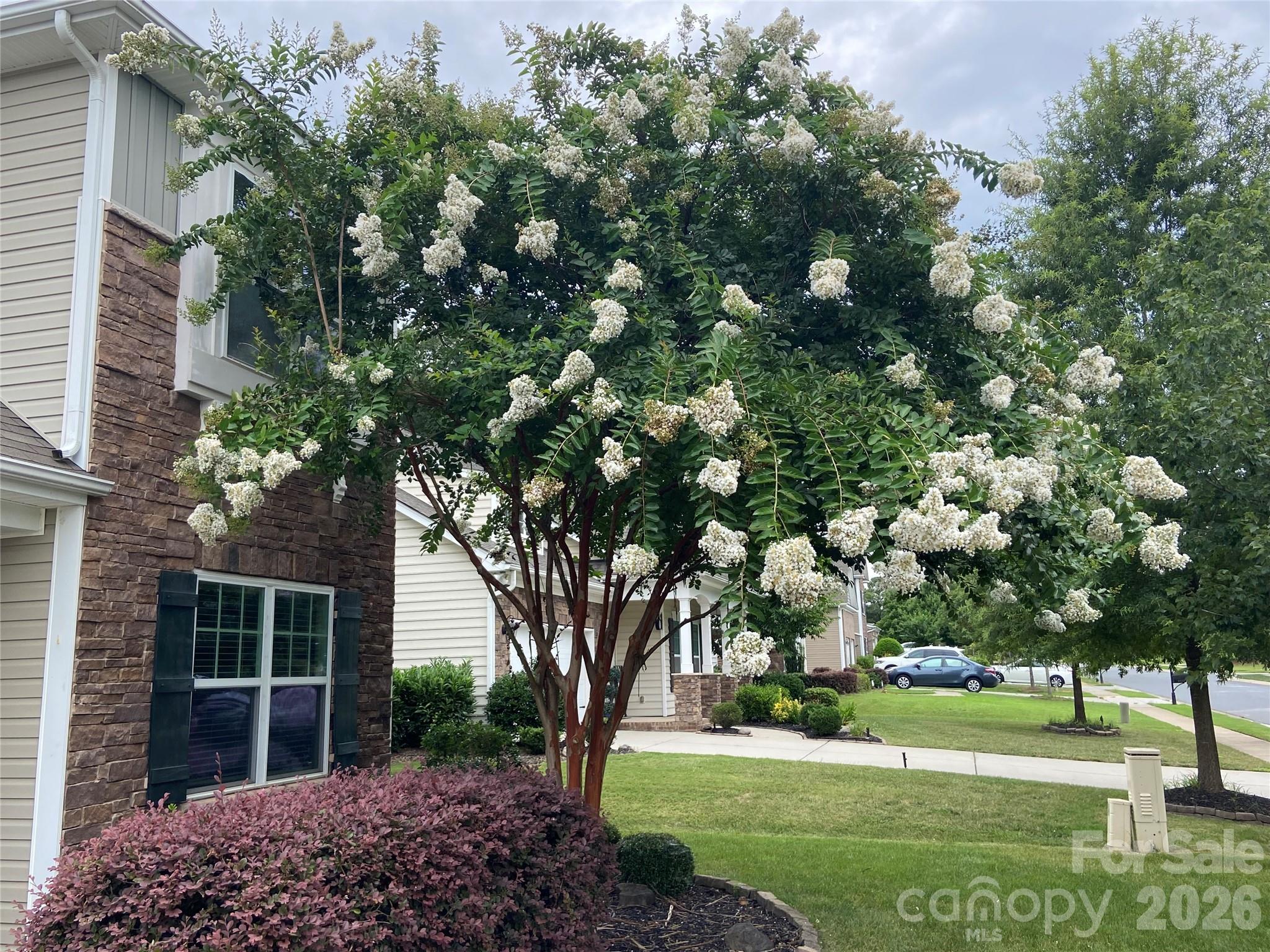 Photo 37 of 6111 Berewick Commons Parkway, Charlotte, NC