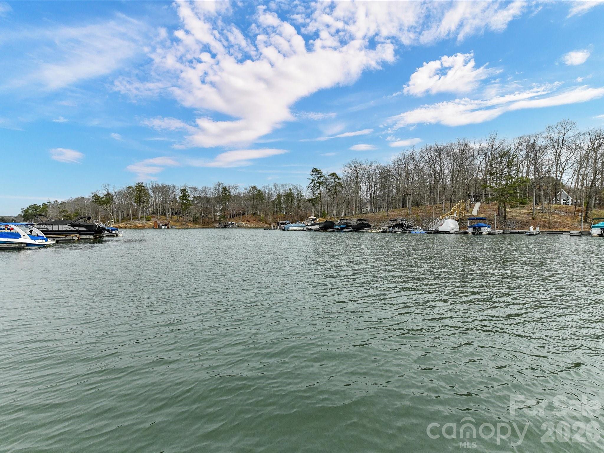 Photo 46 of 1805 Mt Isle Harbor Drive, Charlotte, NC