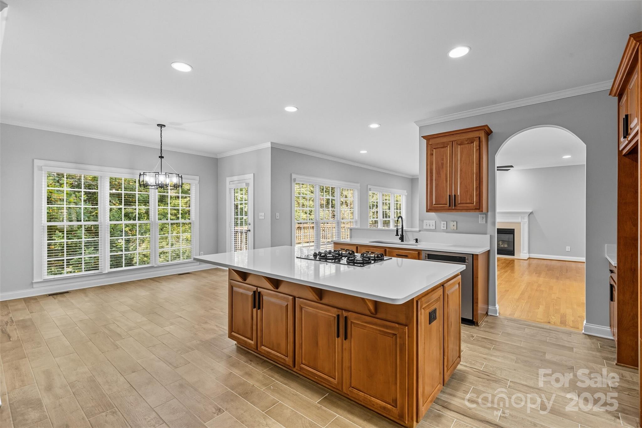 Photo 14 of 11139 Tradition View Drive, Charlotte, NC