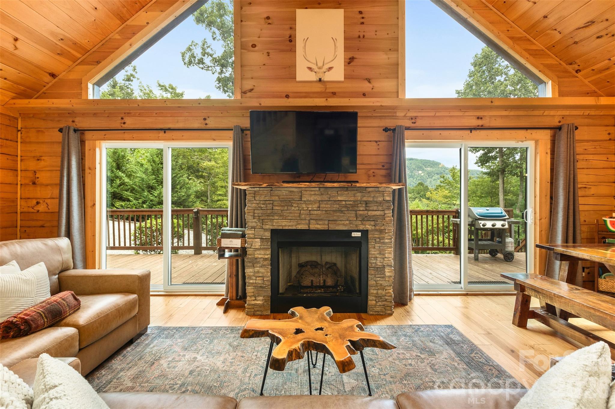 Photo 4 of 517 Luther Burbank Drive, Lake Lure, NC