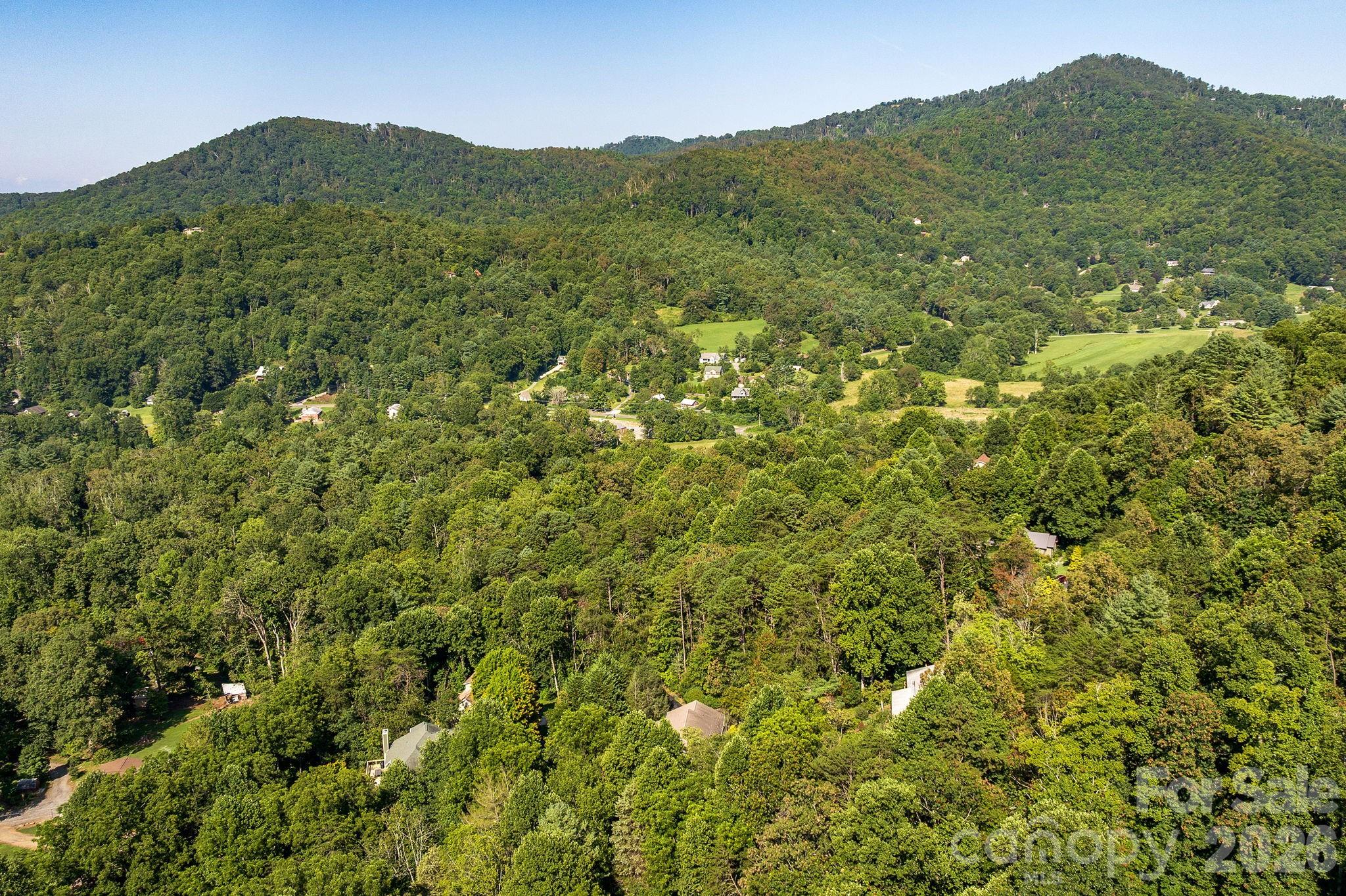 212 Blue Ridge Vista, Asheville, NC - photo 41 of 44