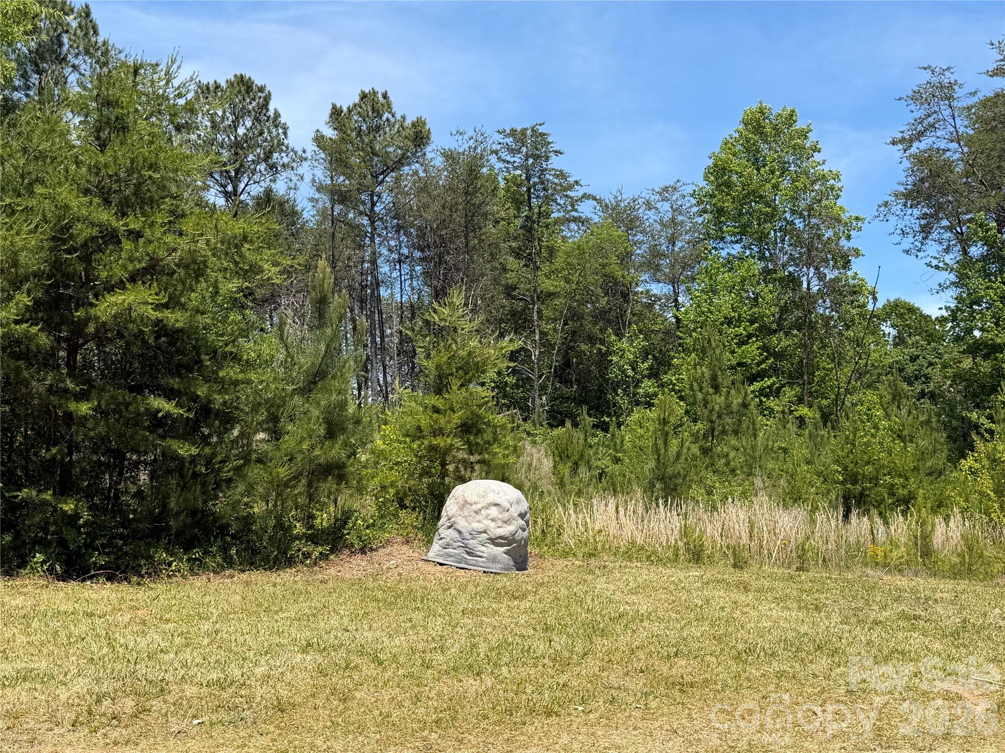 1962 Norman Parker Road, Lawndale, NC - photo 2 of 23